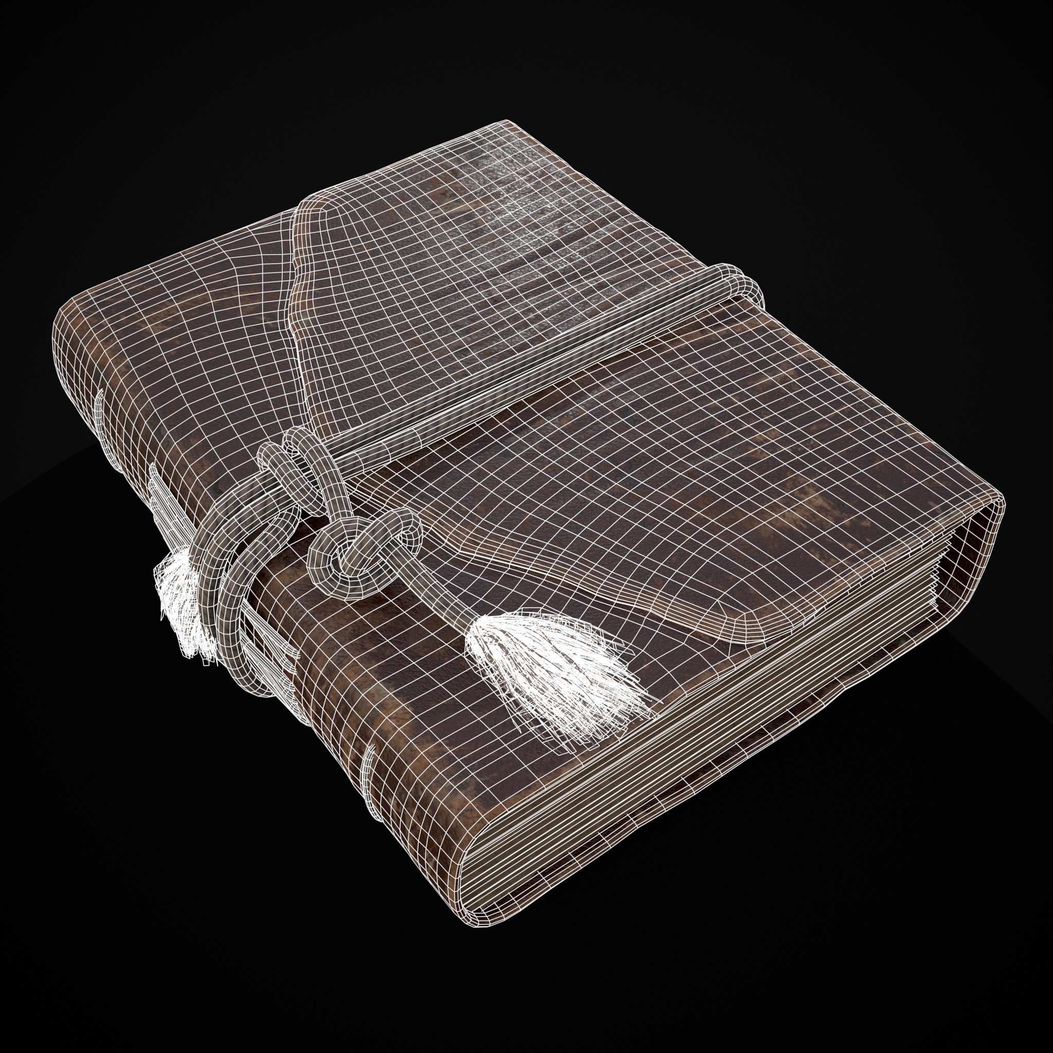 Rope Tied Leather Bound Book - 3D Model by Get Dead Entertainment