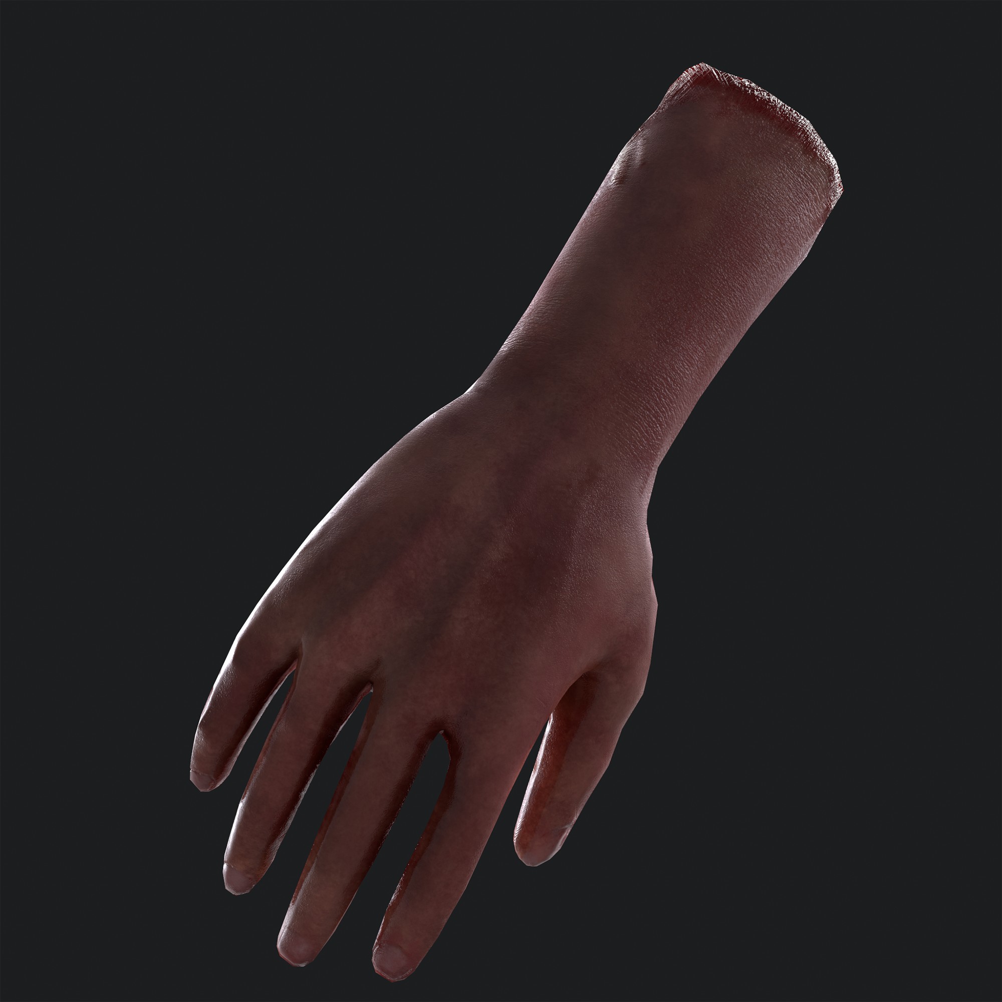 Severed Arm Model by Get Dead Entertainment