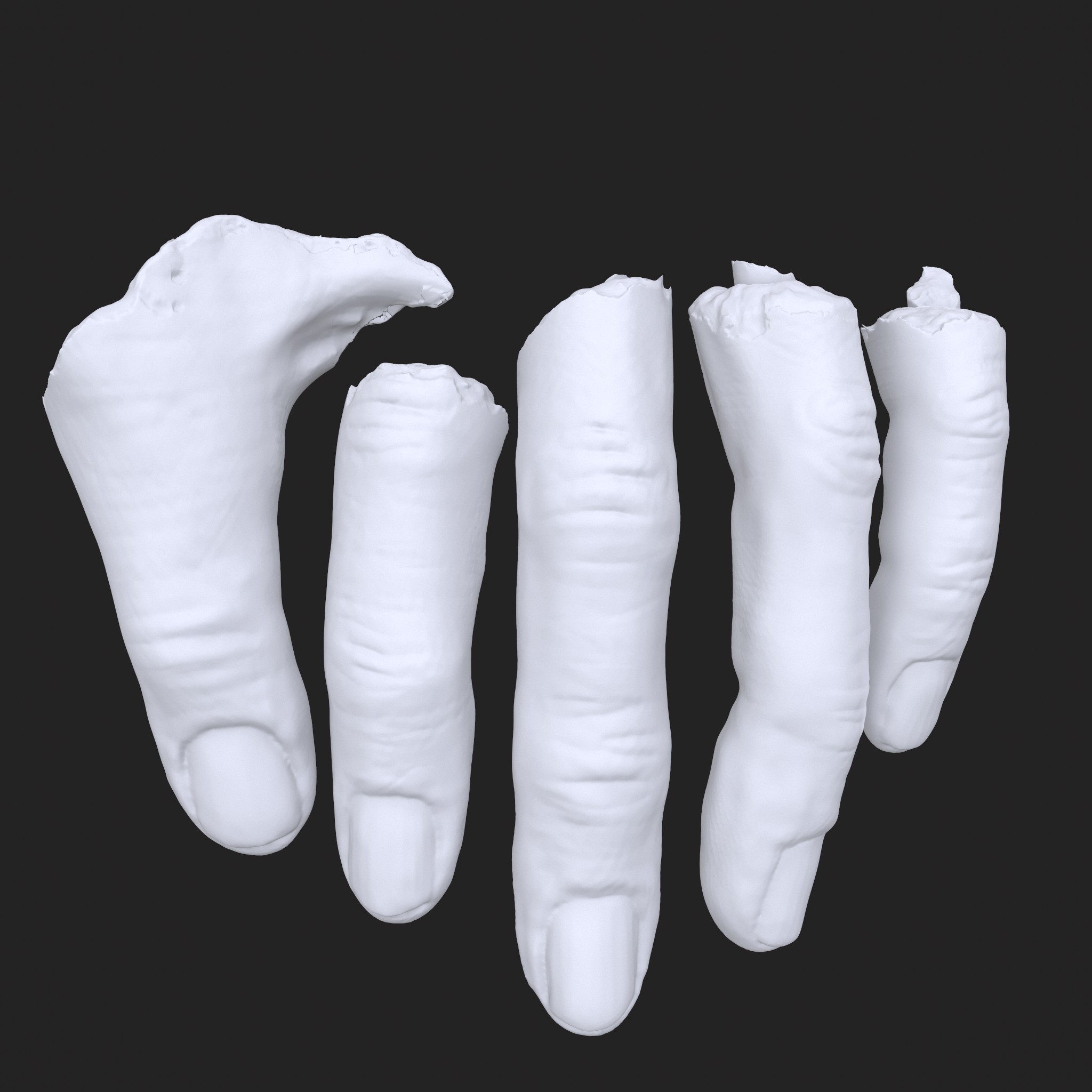 Severed Fingers - 3D Model by Get Dead Entertainment