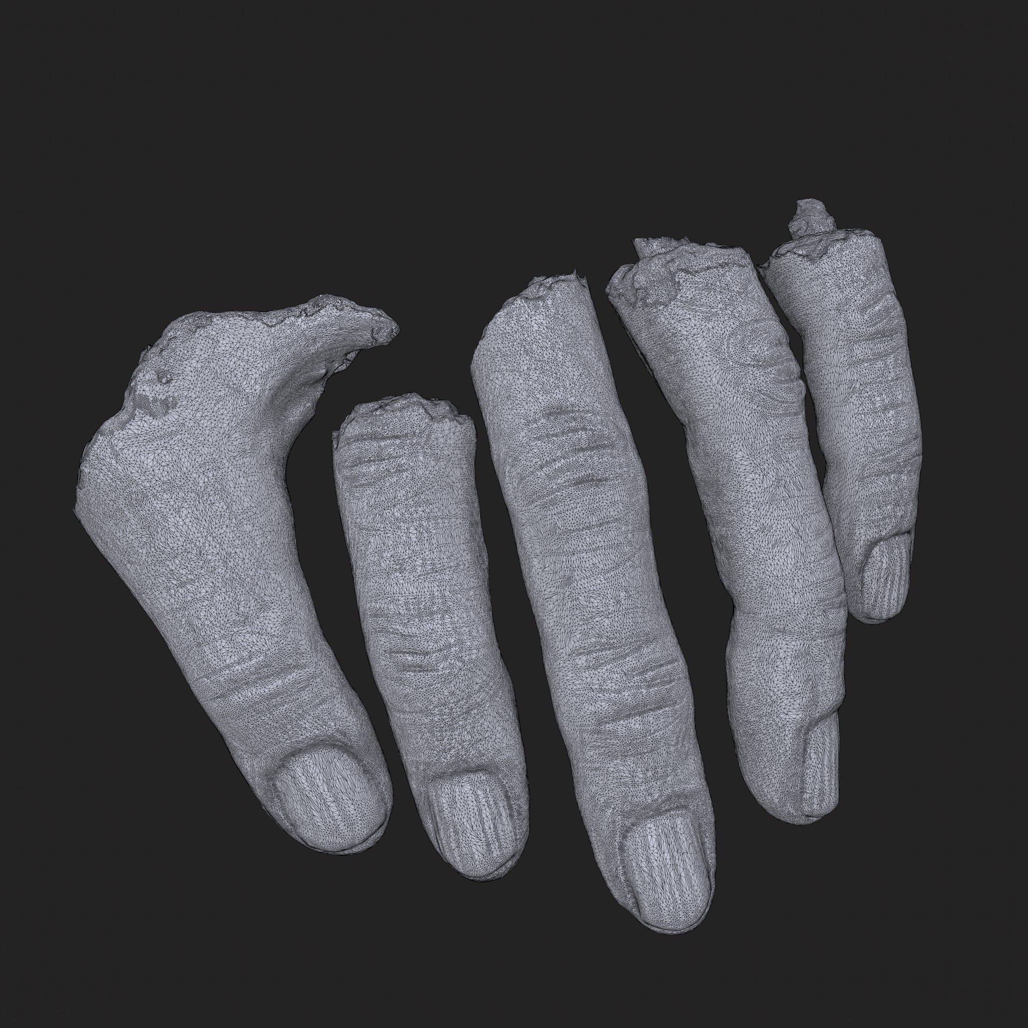 Severed Fingers - 3D Model by Get Dead Entertainment