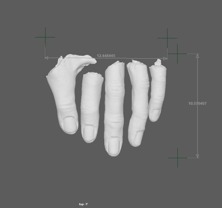 Severed Fingers - 3D Model by Get Dead Entertainment