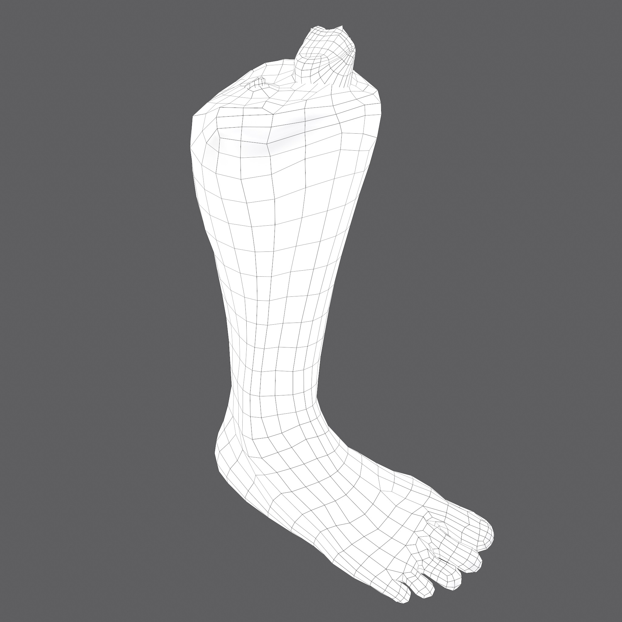 Severed Leg Horror Props - 3D Model by Get Dead Entertainment