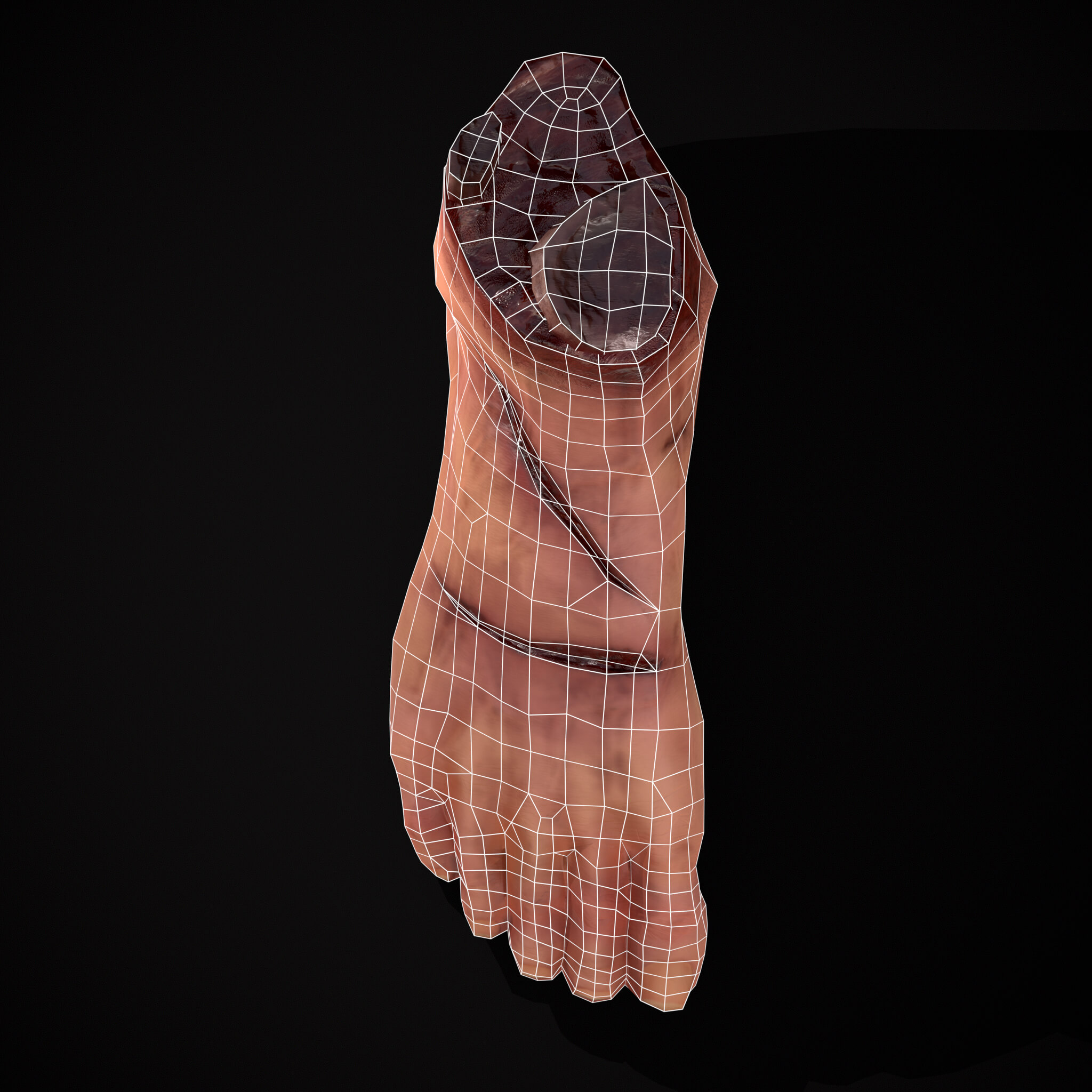 Severed Male Foot - 3D Model by Get Dead Entertainment