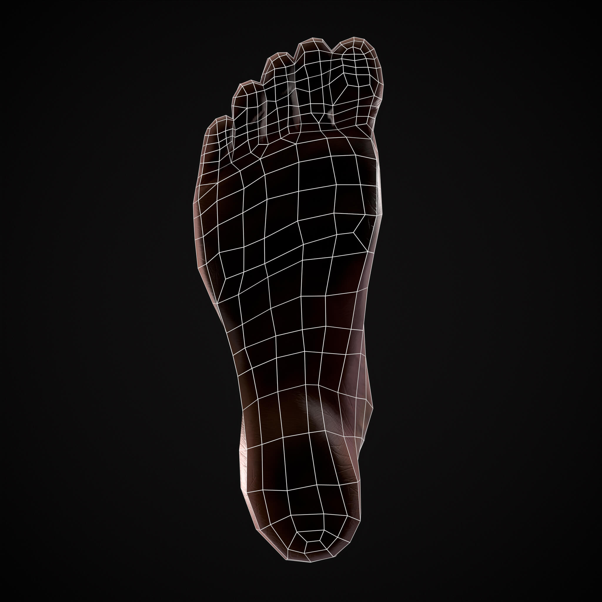Severed Male Foot - 3D Model by Get Dead Entertainment