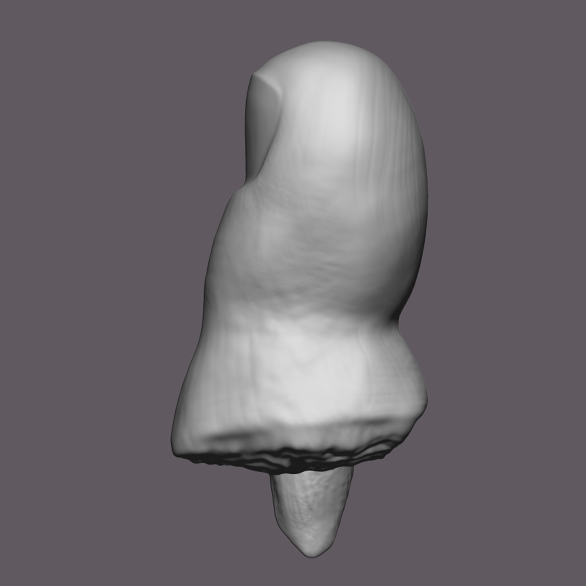 Severed Toe - 3D Model by Get Dead Entertainment