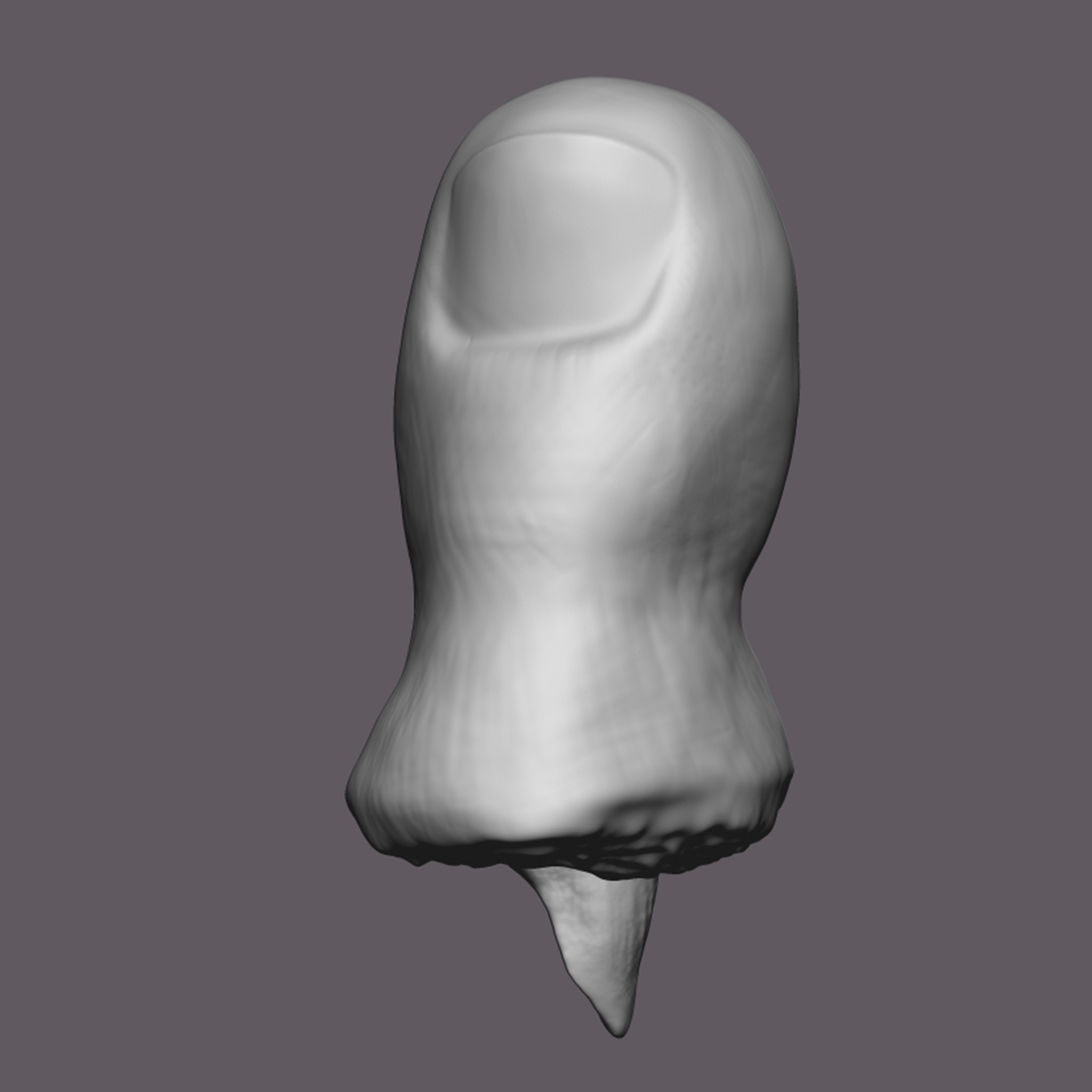 Severed Toe - 3D Model by Get Dead Entertainment
