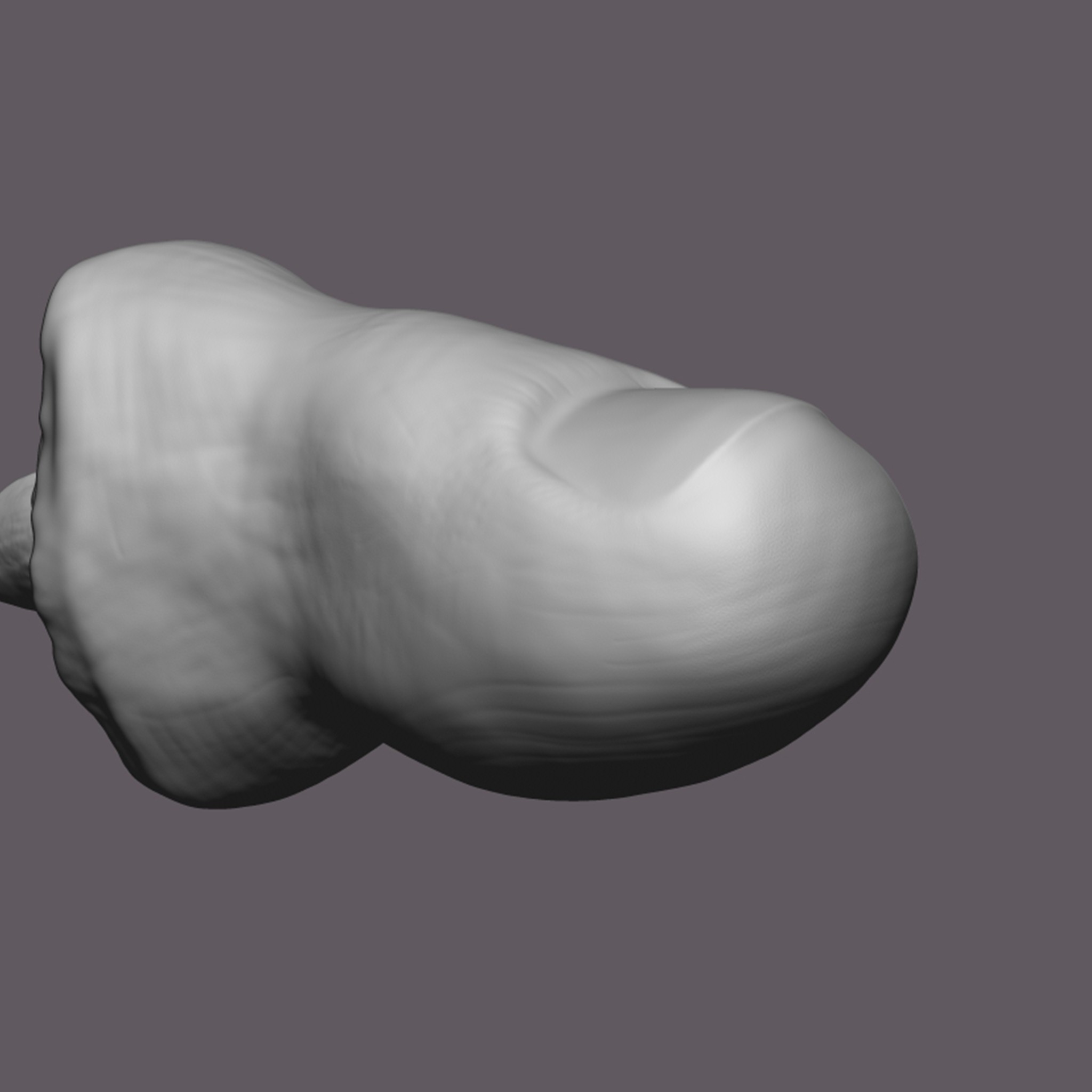 Severed Toe - 3D Model by Get Dead Entertainment