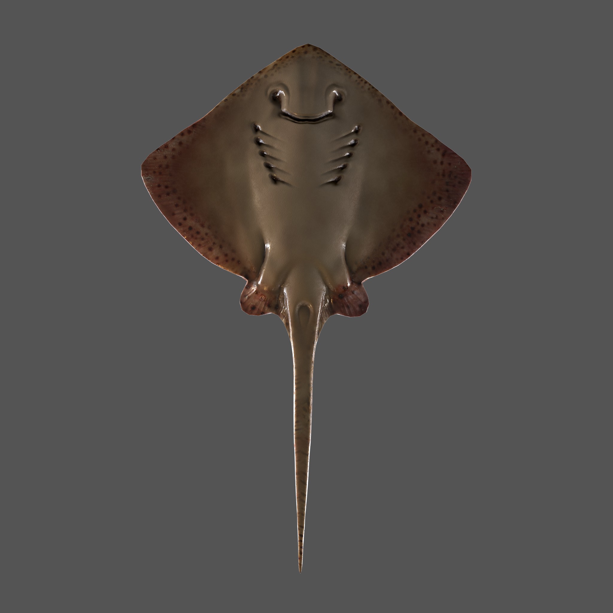 Skate Fish - 3D Model by Get Dead Entertainment