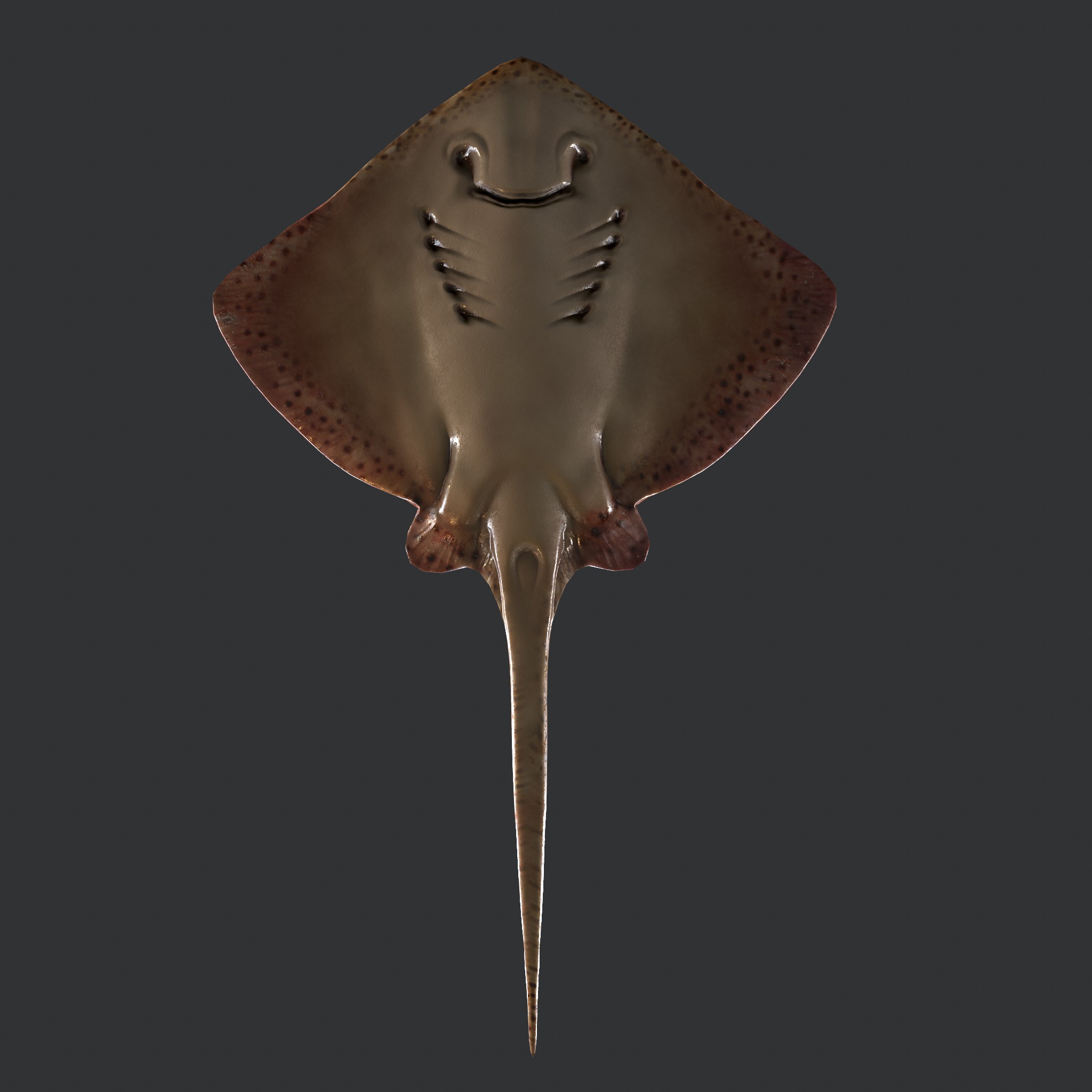 Skate Fish - 3D Model by Get Dead Entertainment