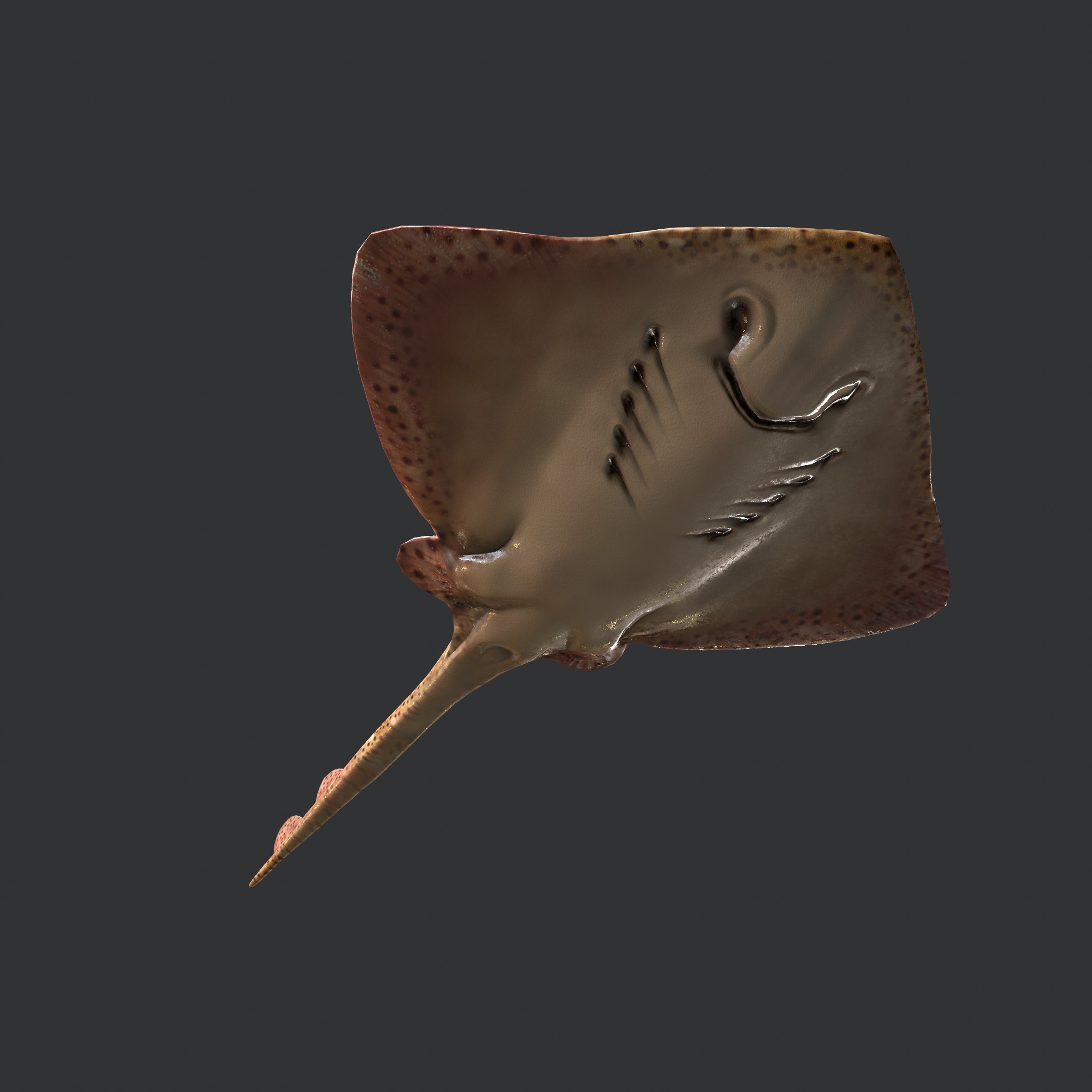 Skate Fish - 3D Model by Get Dead Entertainment