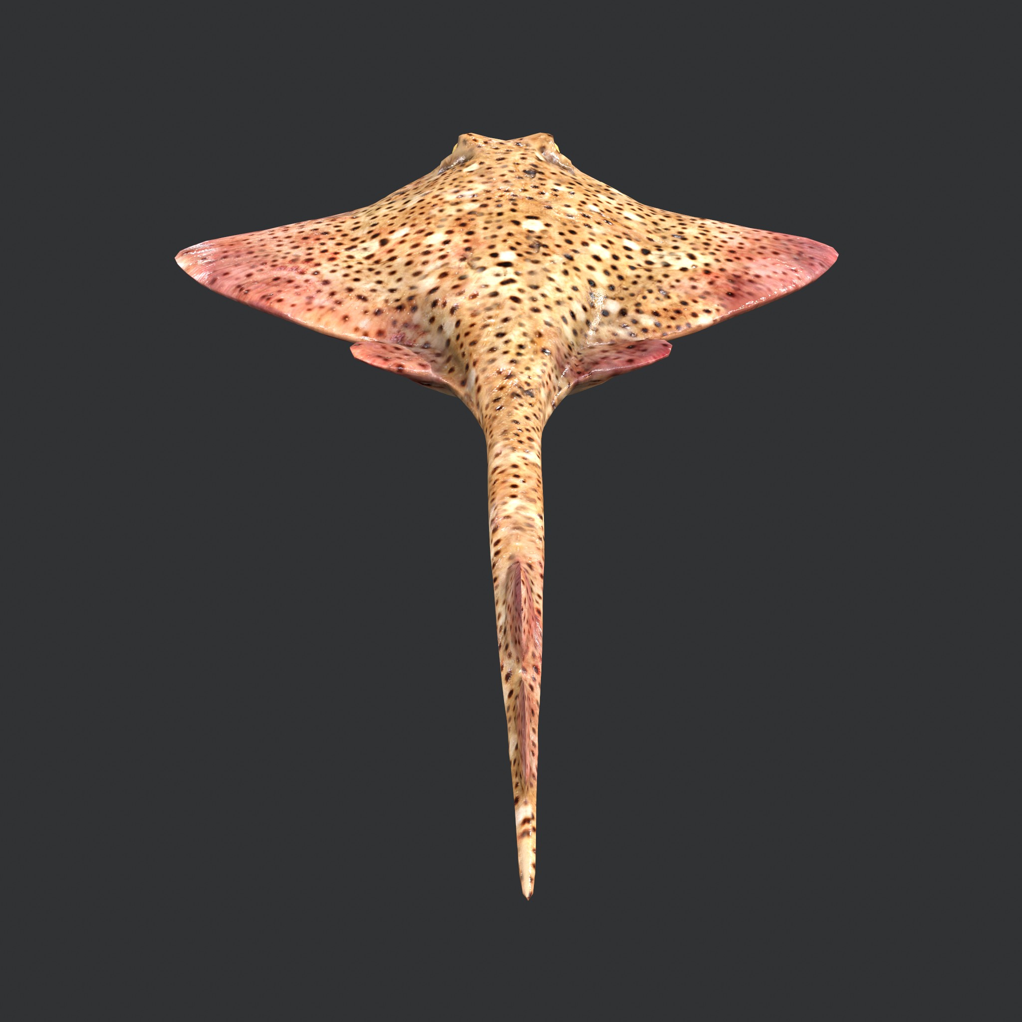 Skate Fish - 3D Model by Get Dead Entertainment