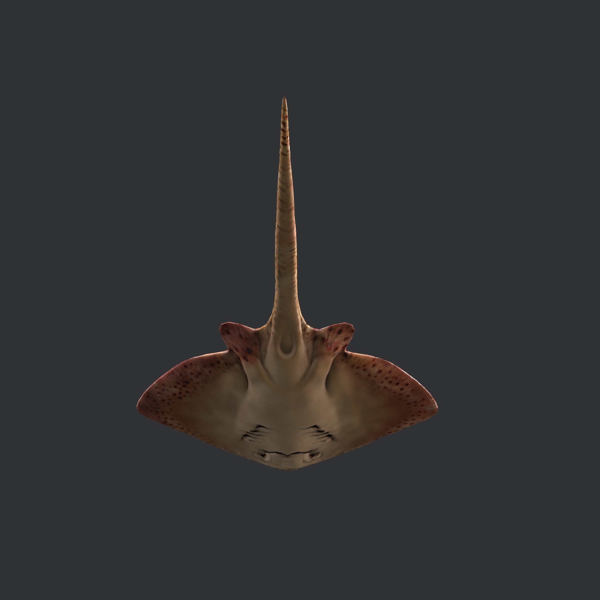 Skate Fish - 3D Model by Get Dead Entertainment