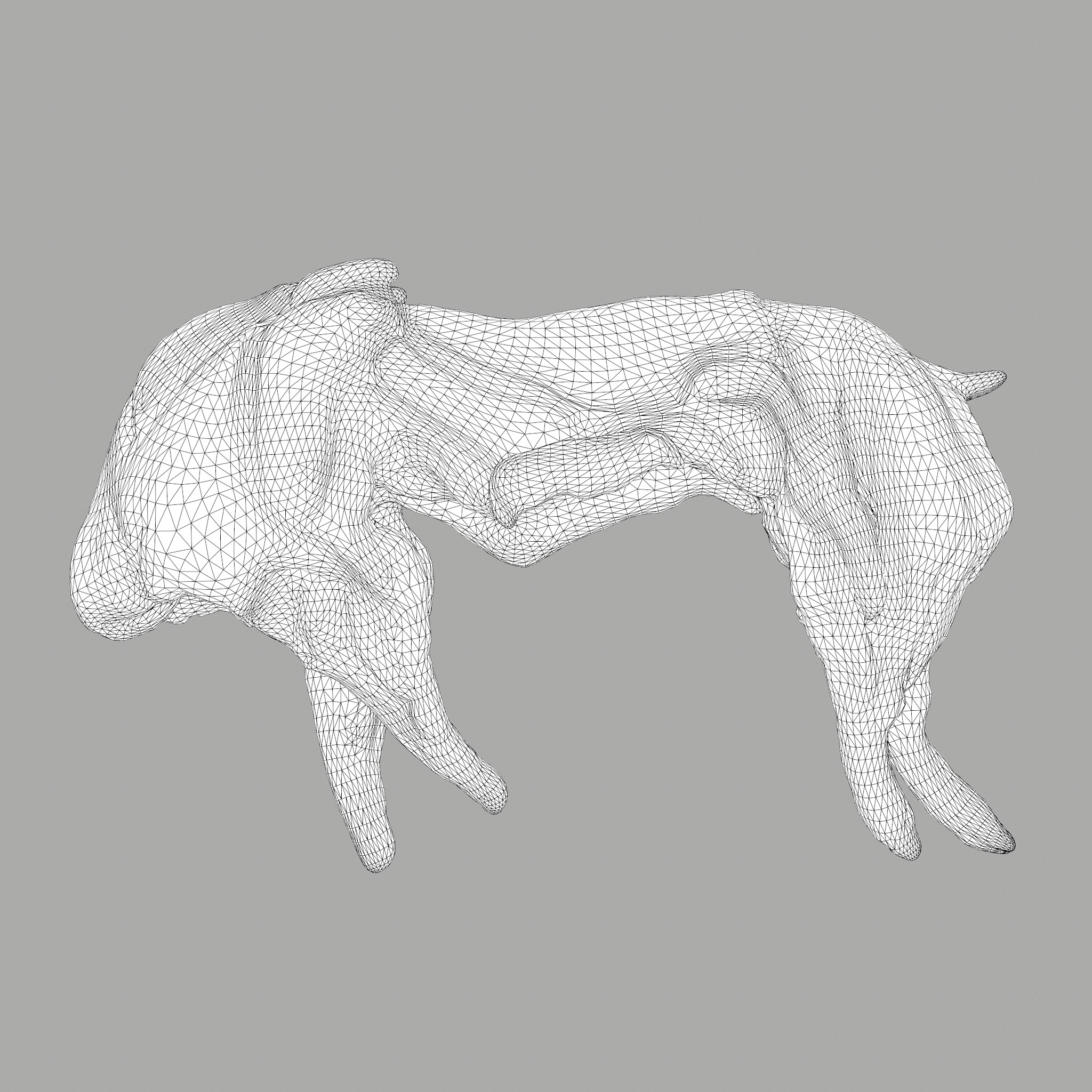 Skinned Rabbits - 3D Model by Get Dead Entertainment