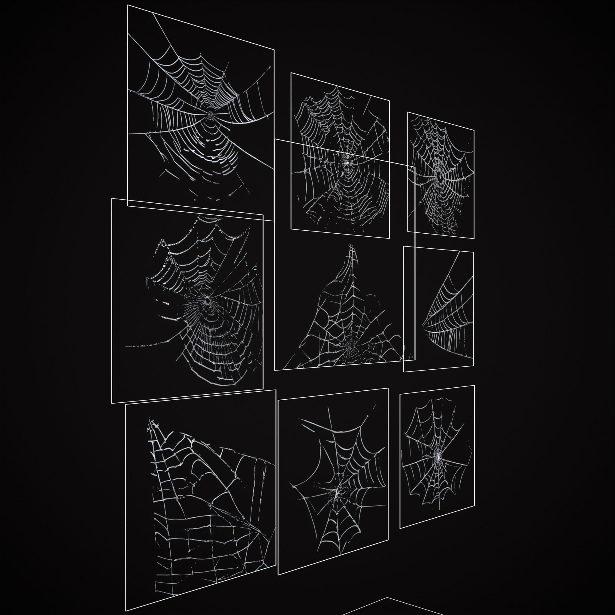 Spider Webs Pack One - 3D Model by Get Dead Entertainment