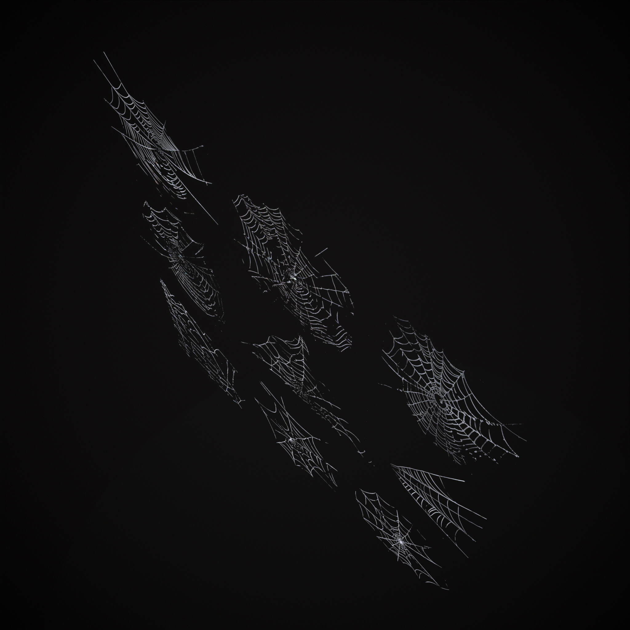 Spider Webs Pack One - 3D Model by Get Dead Entertainment