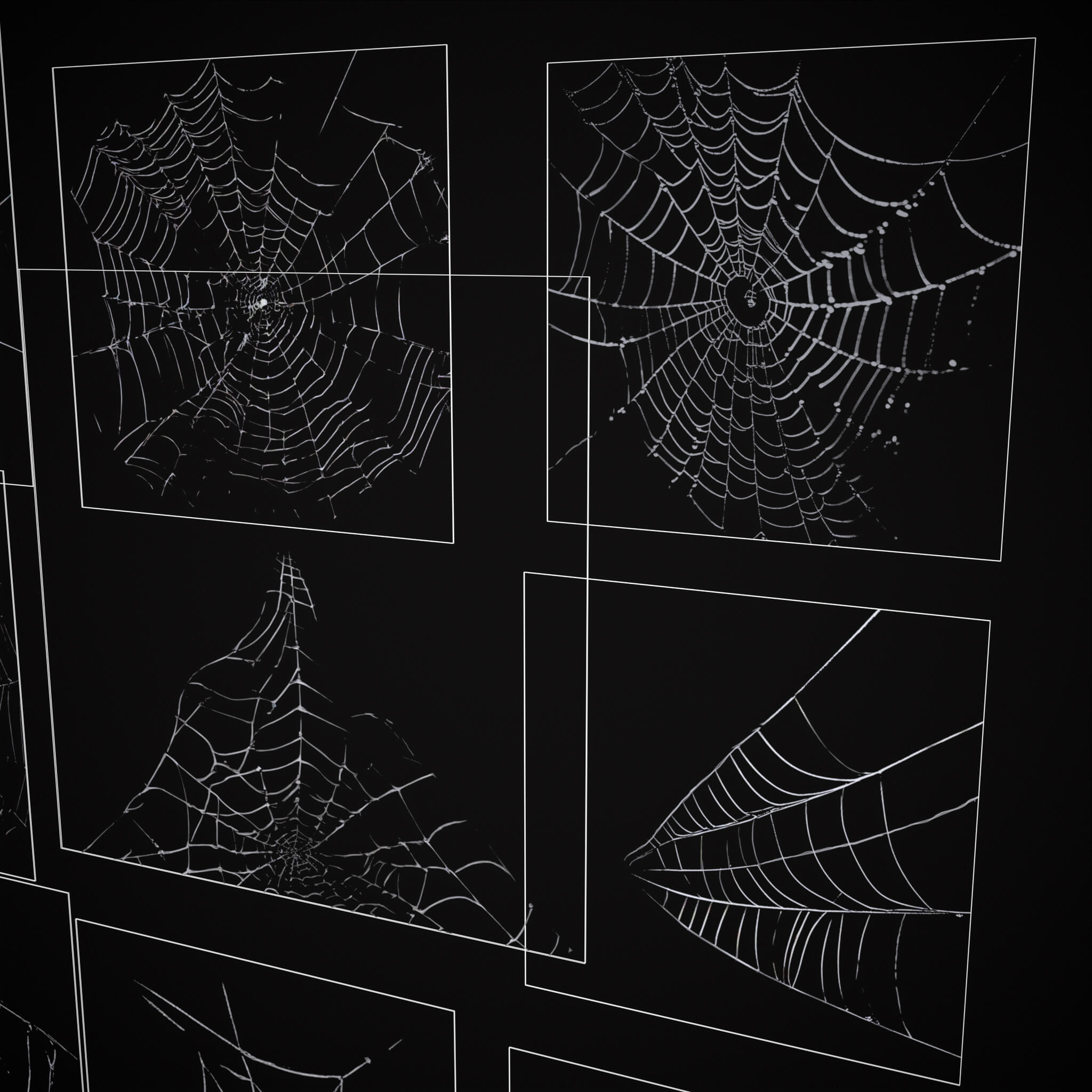 Spider Webs Pack One - 3D Model by Get Dead Entertainment