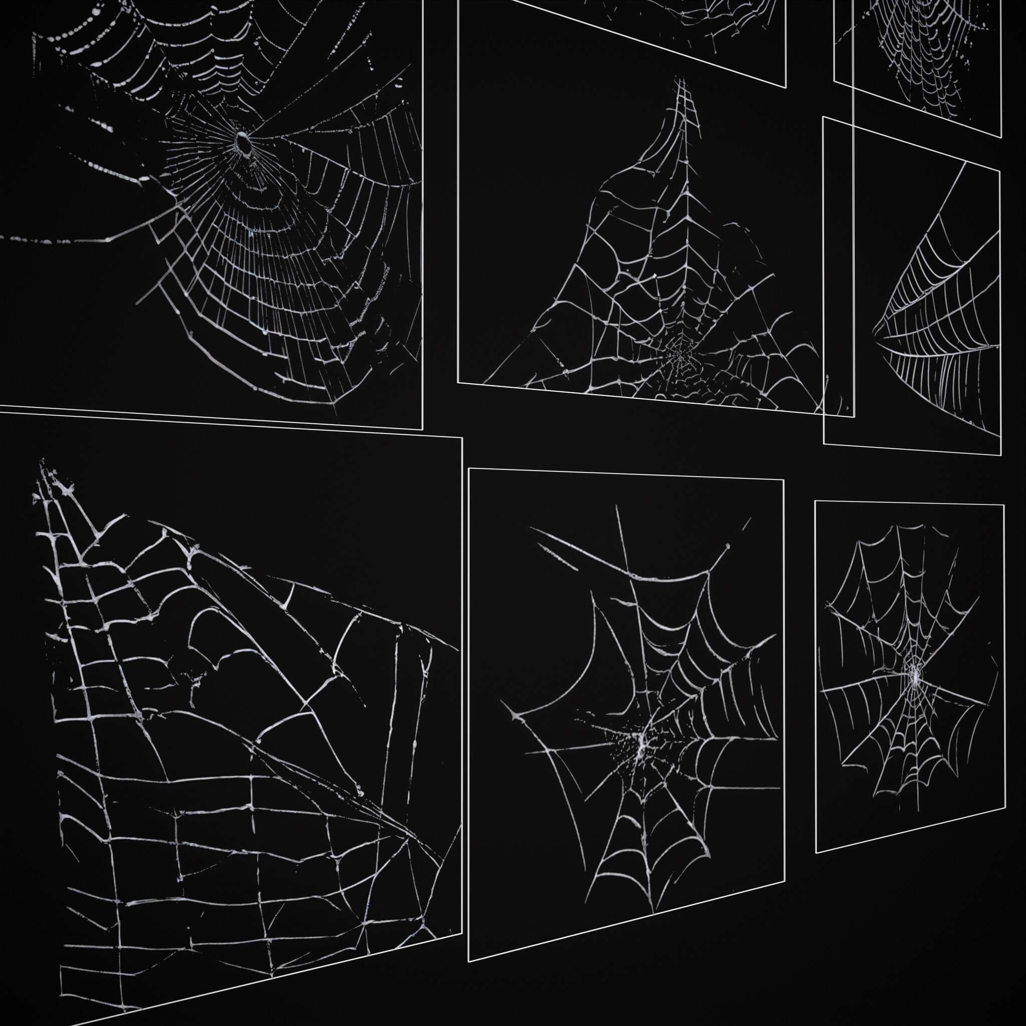 Spider Webs Pack One - 3D Model by Get Dead Entertainment