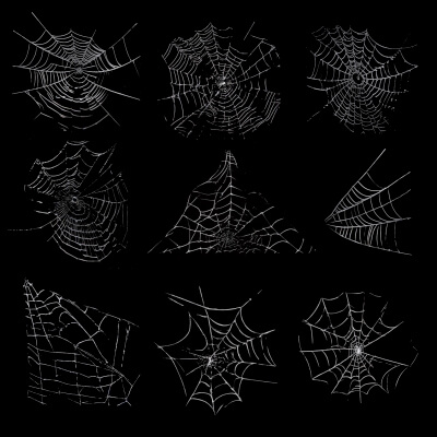 Spider Webs Pack One - 3D Model by Get Dead Entertainment