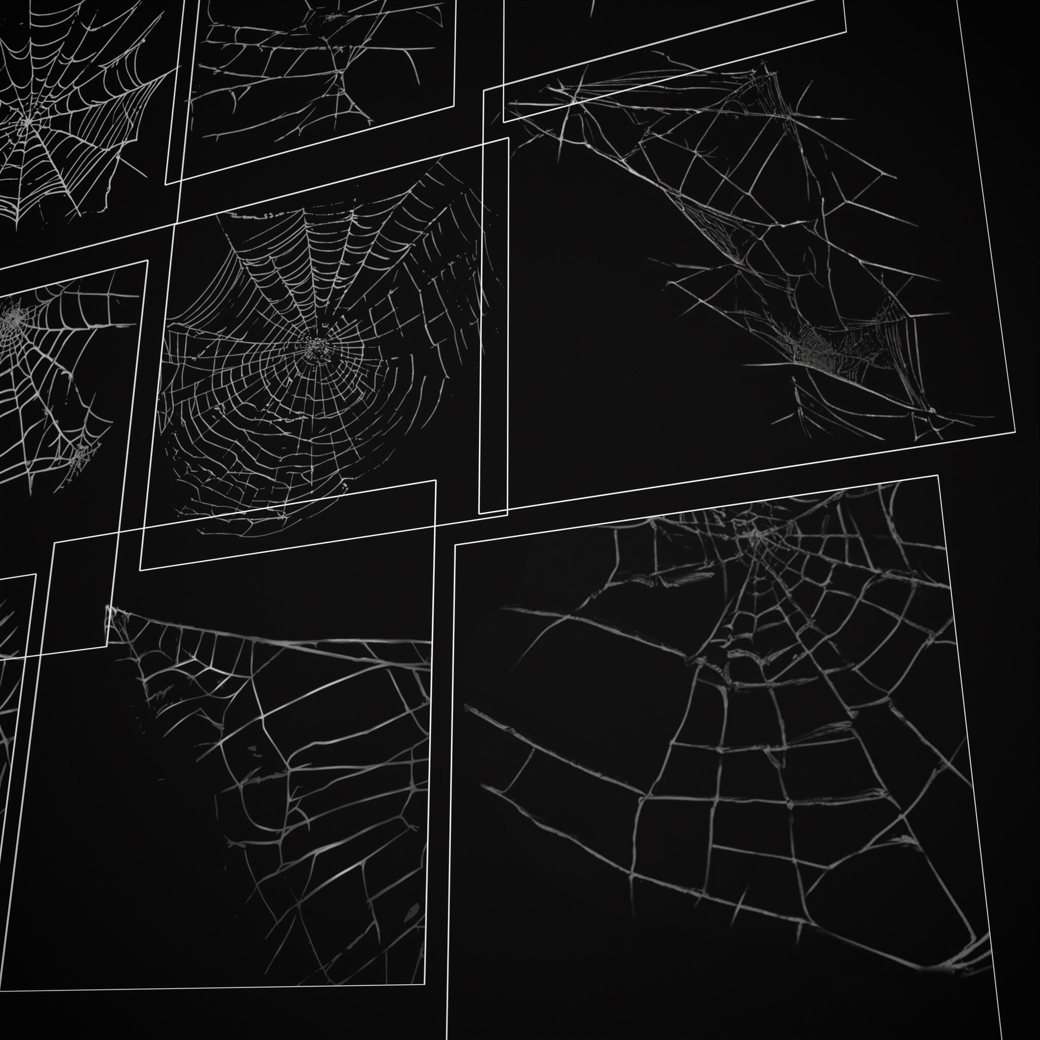 Spider Webs Pack Two - 3D Model by Get Dead Entertainment
