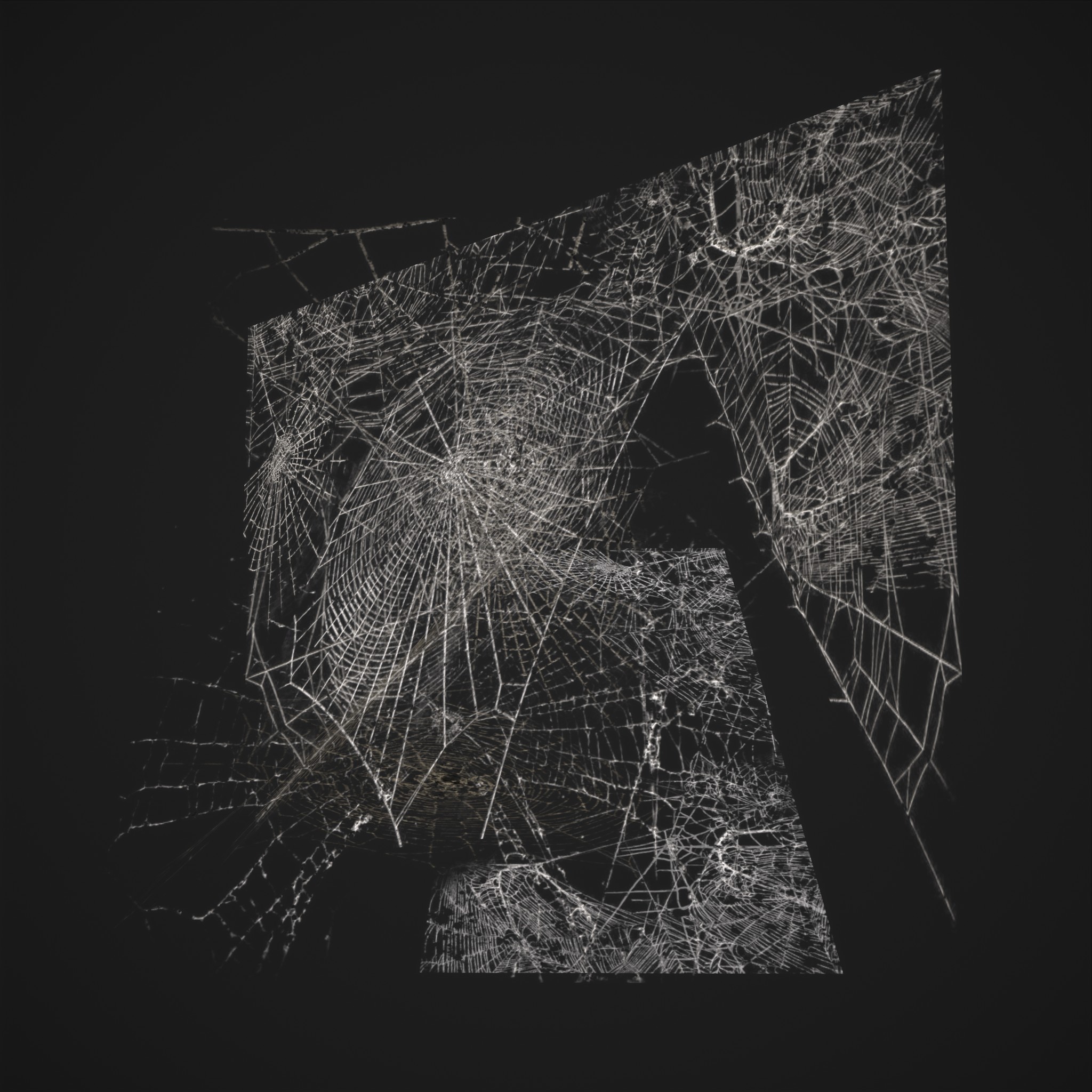 Spider Webs Model by Get Dead Entertainment