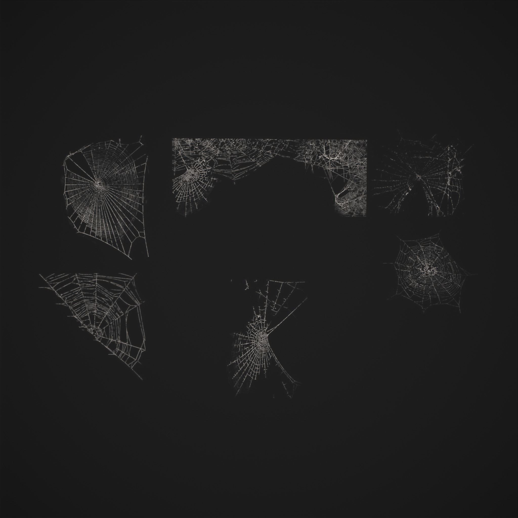 Spider Webs Model by Get Dead Entertainment