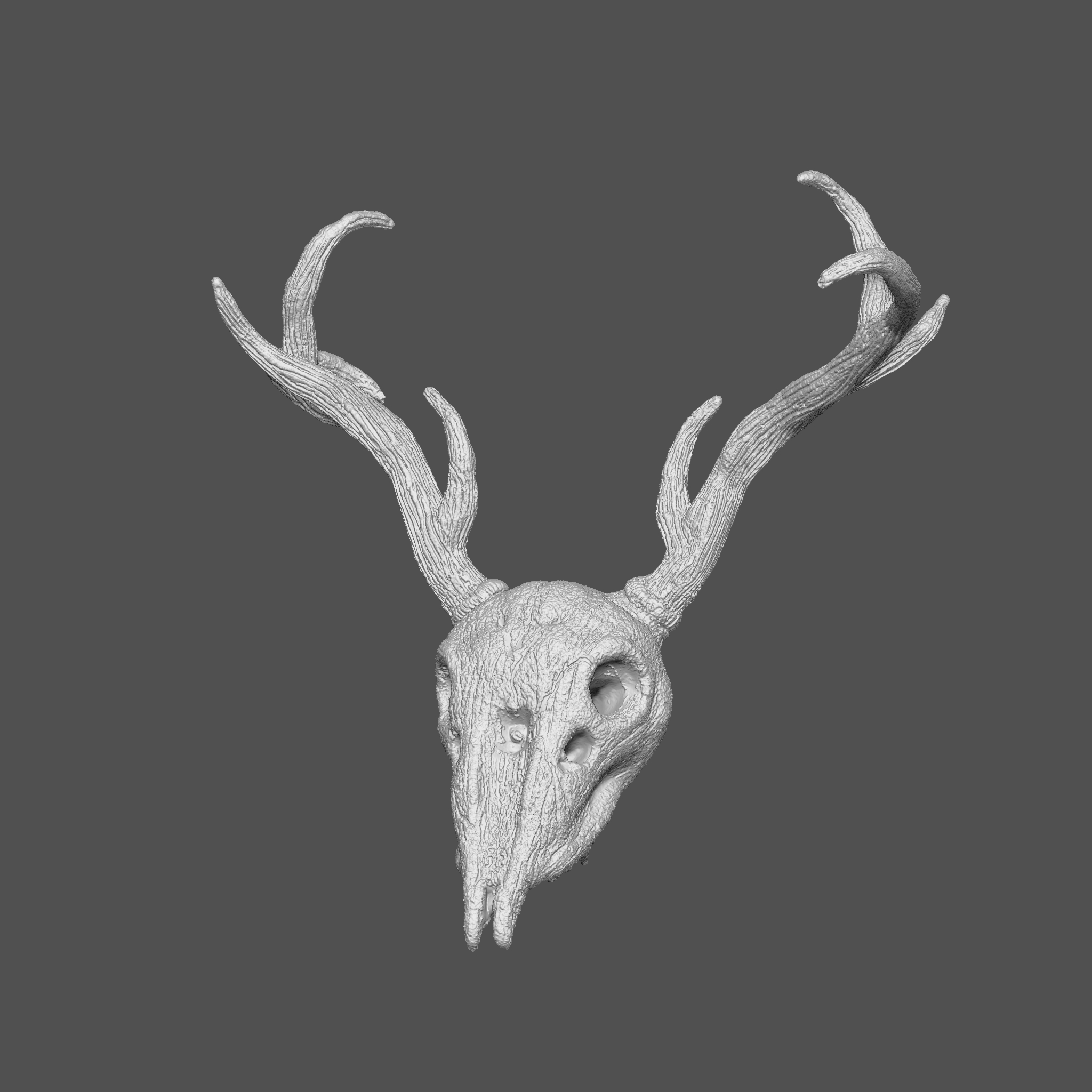 Stag Skull - 3D Print Model by Get Dead Entertainment