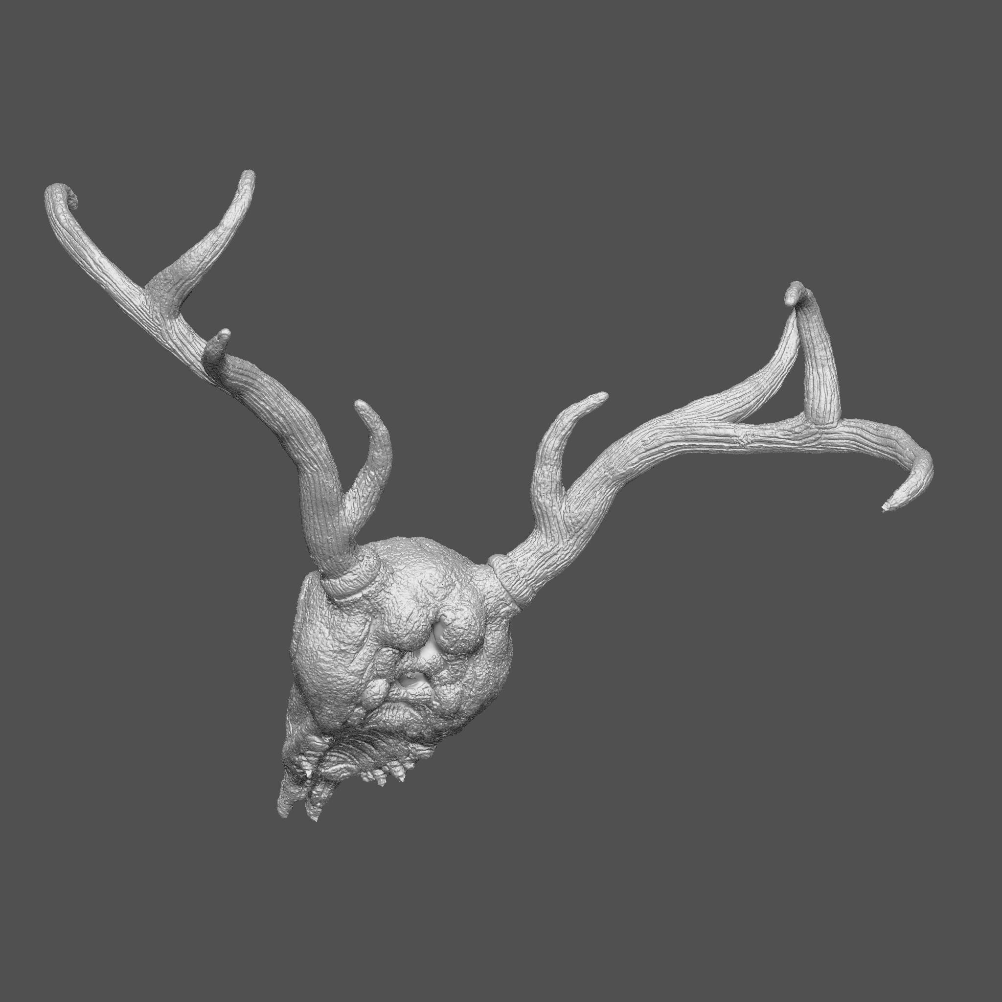 Stag Skull Model by Get Dead Entertainment
