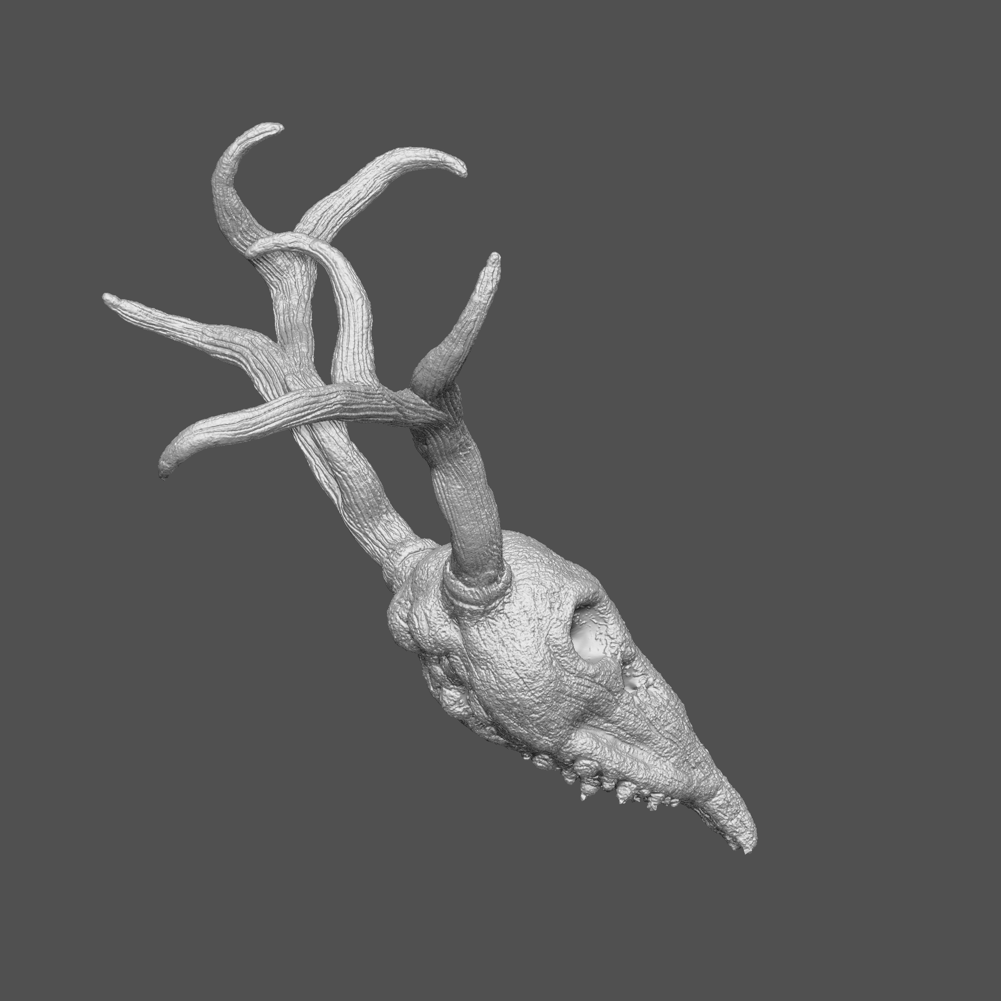 Stag Skull Model by Get Dead Entertainment