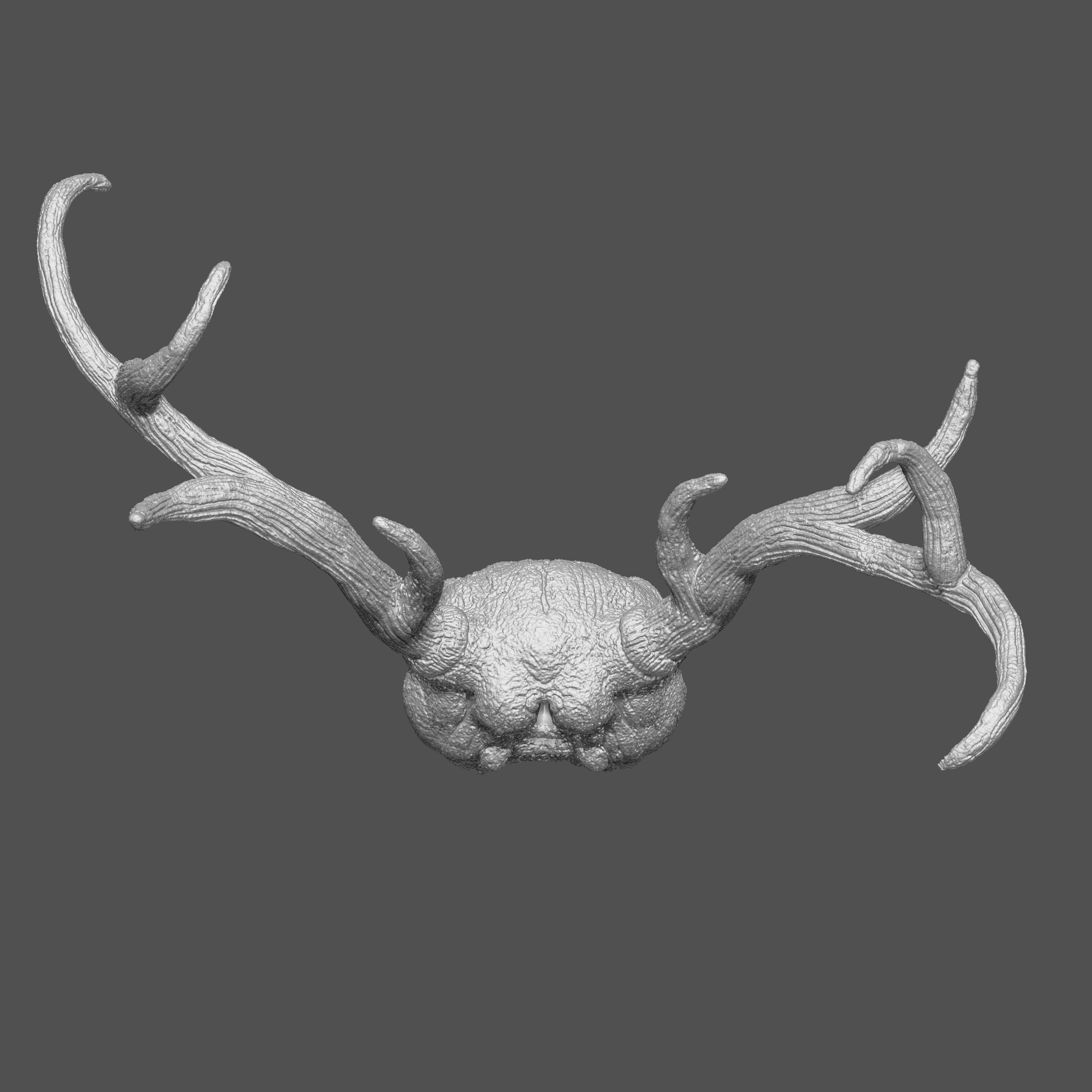 Stag Skull Model by Get Dead Entertainment