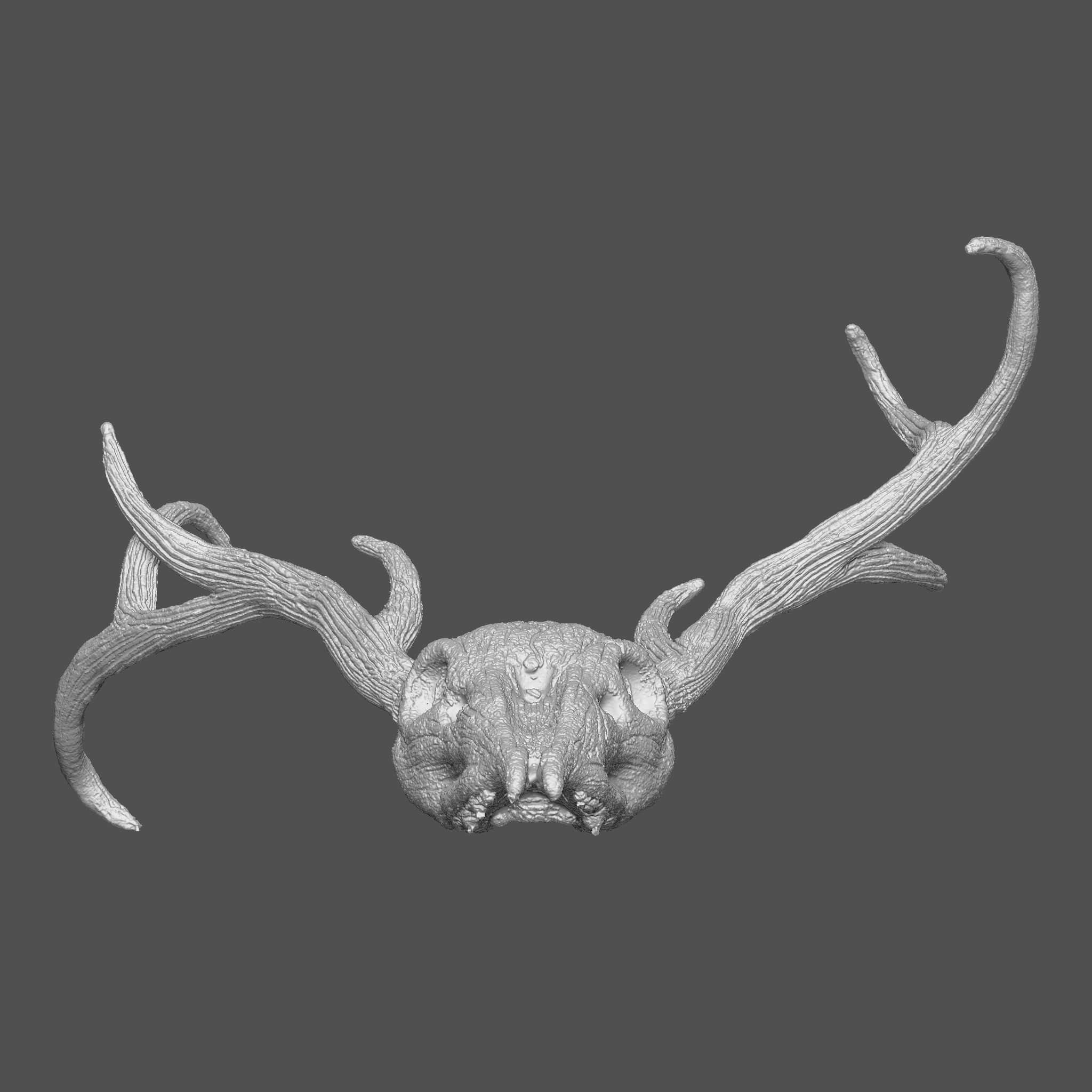 Stag Skull Model by Get Dead Entertainment