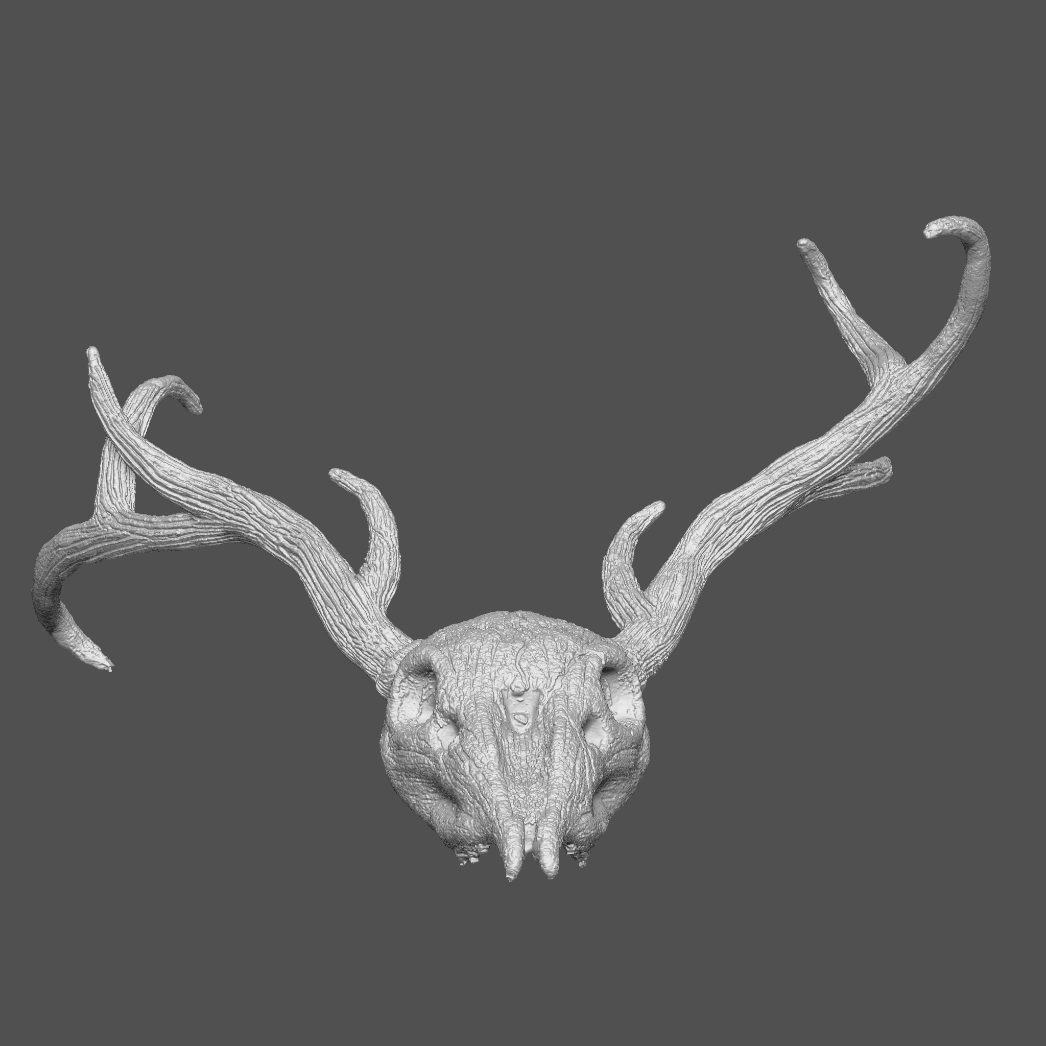 Stag Skull Model by Get Dead Entertainment