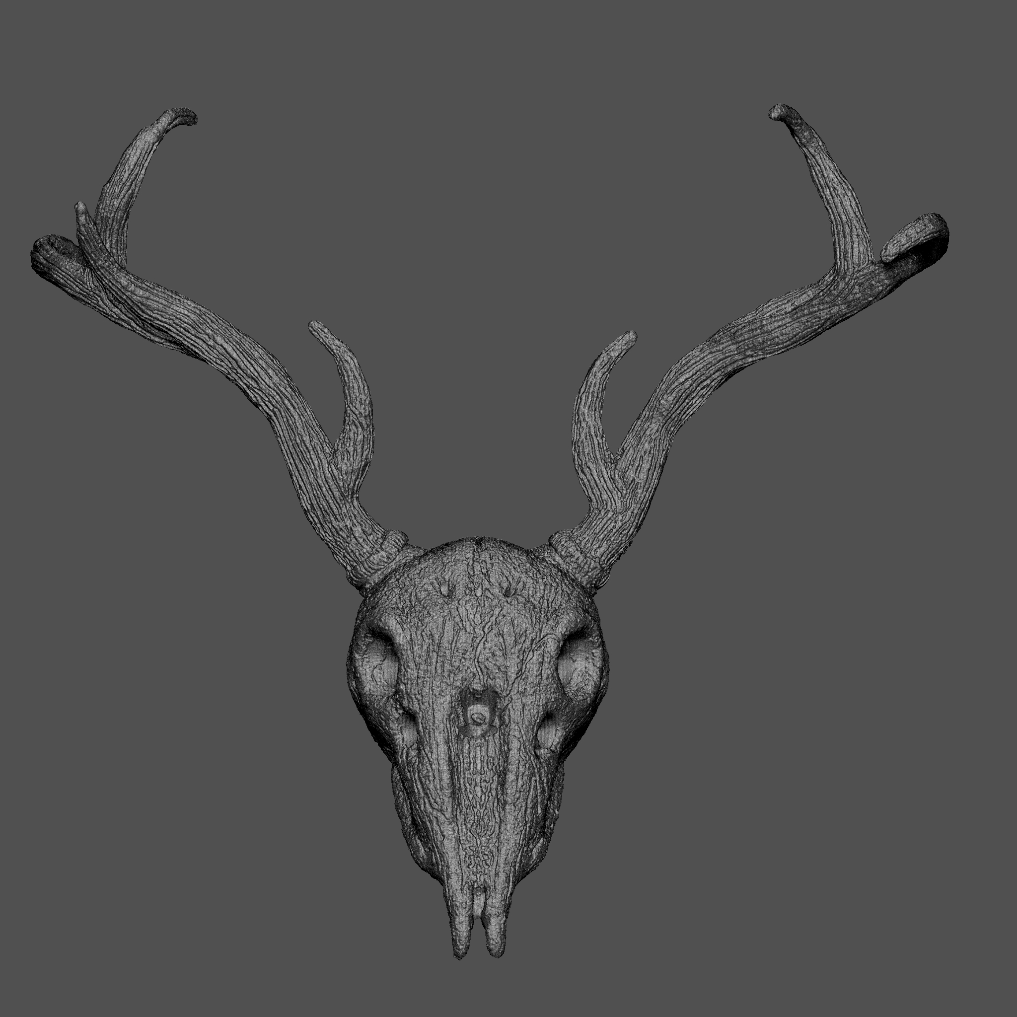 Stag Skull Model by Get Dead Entertainment