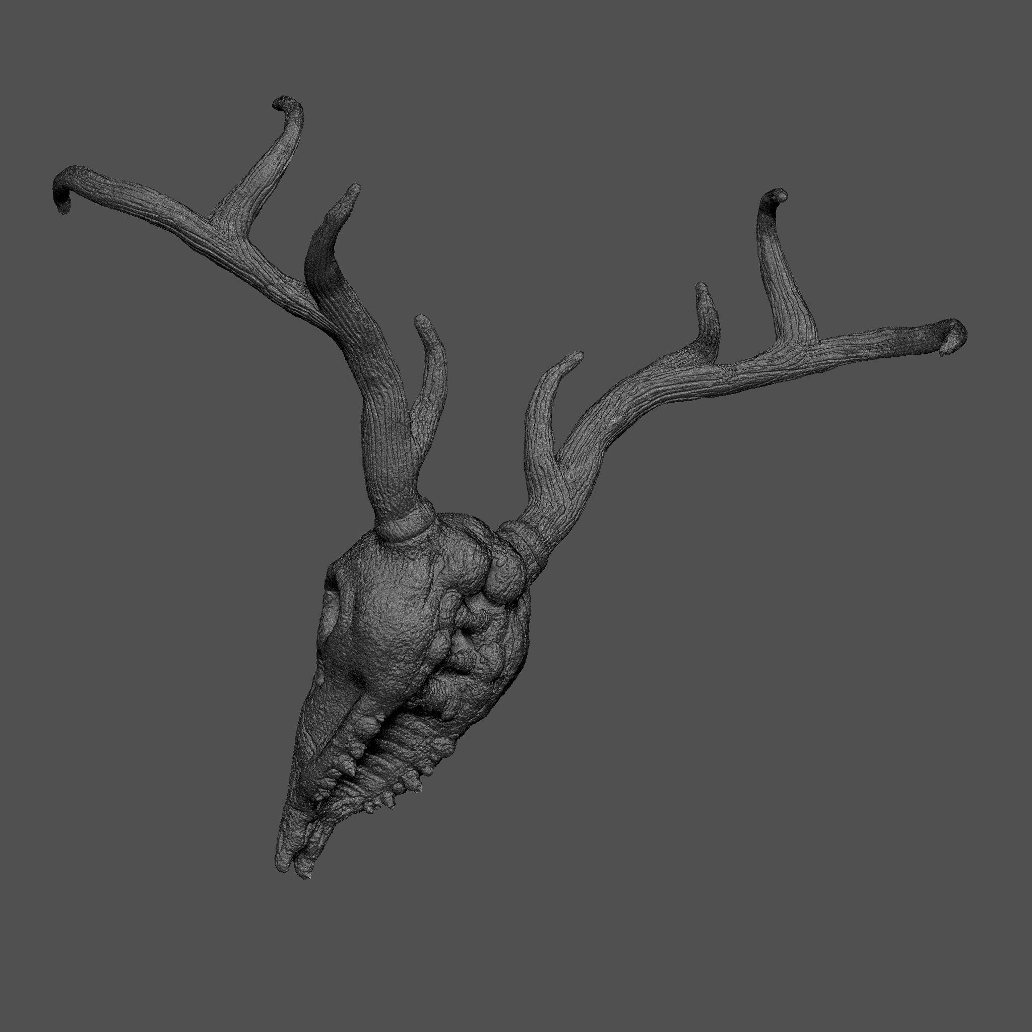 Stag Skull Model by Get Dead Entertainment