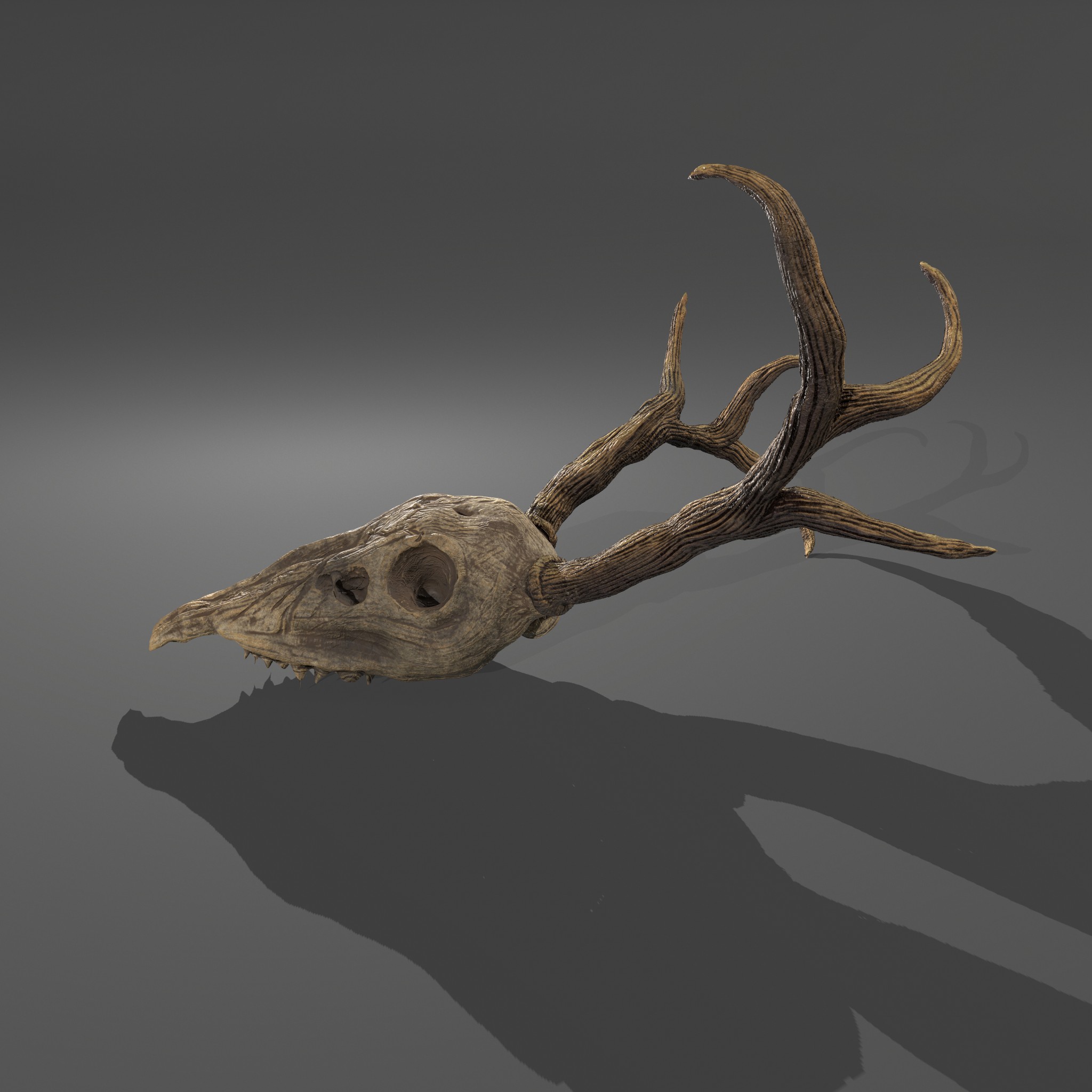 Stag Skull - 3D Model by Get Dead Entertainment
