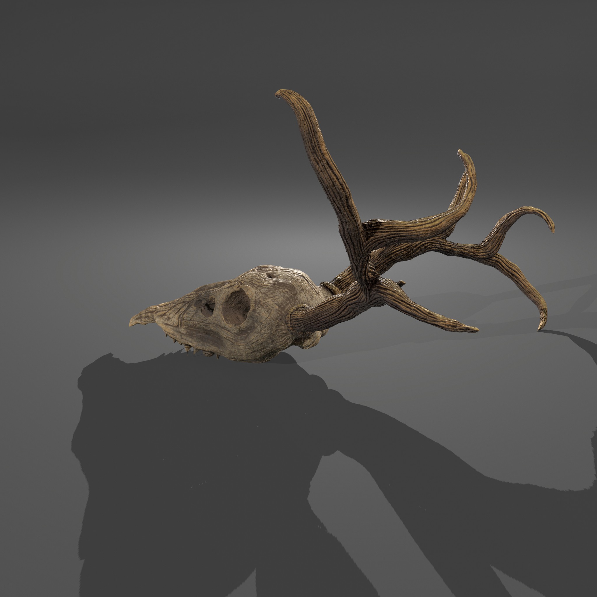 Stag Skull - 3D Model by Get Dead Entertainment