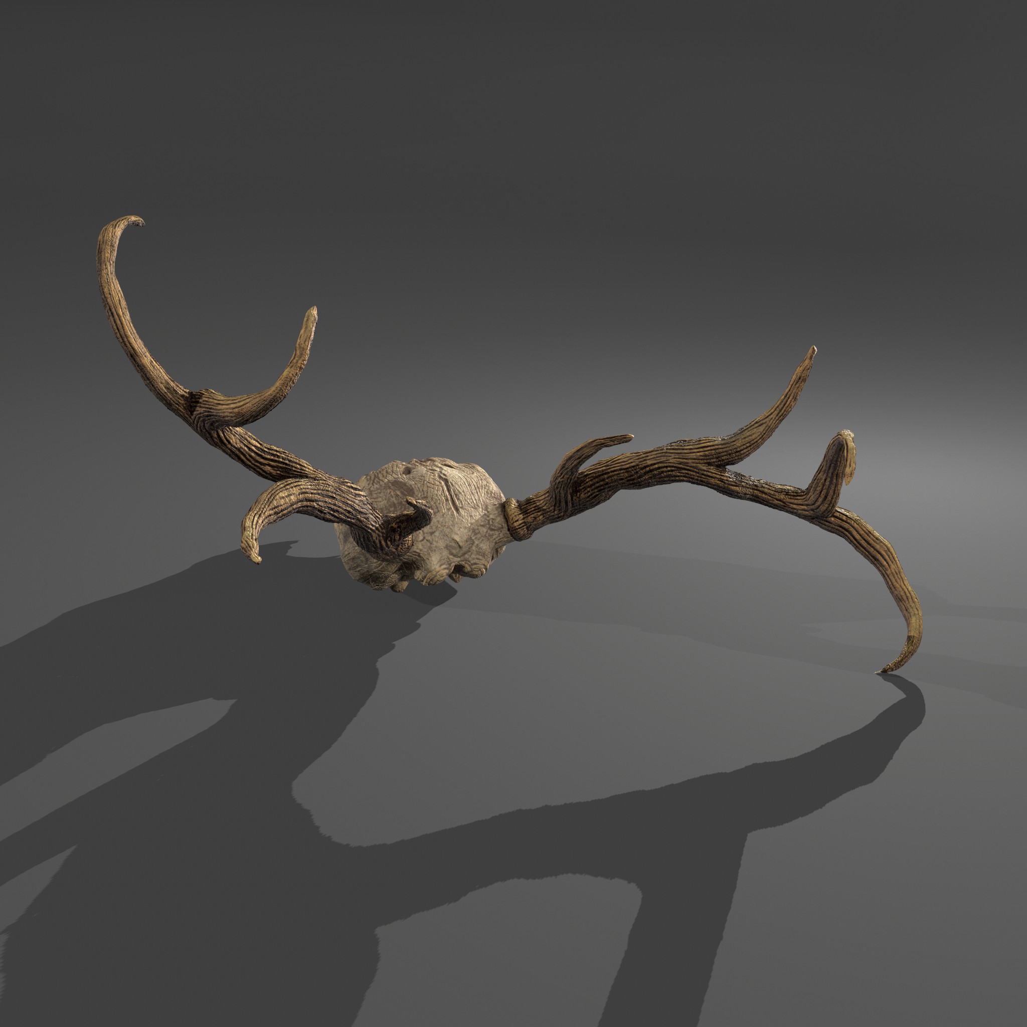 Stag Skull - 3D Model by Get Dead Entertainment
