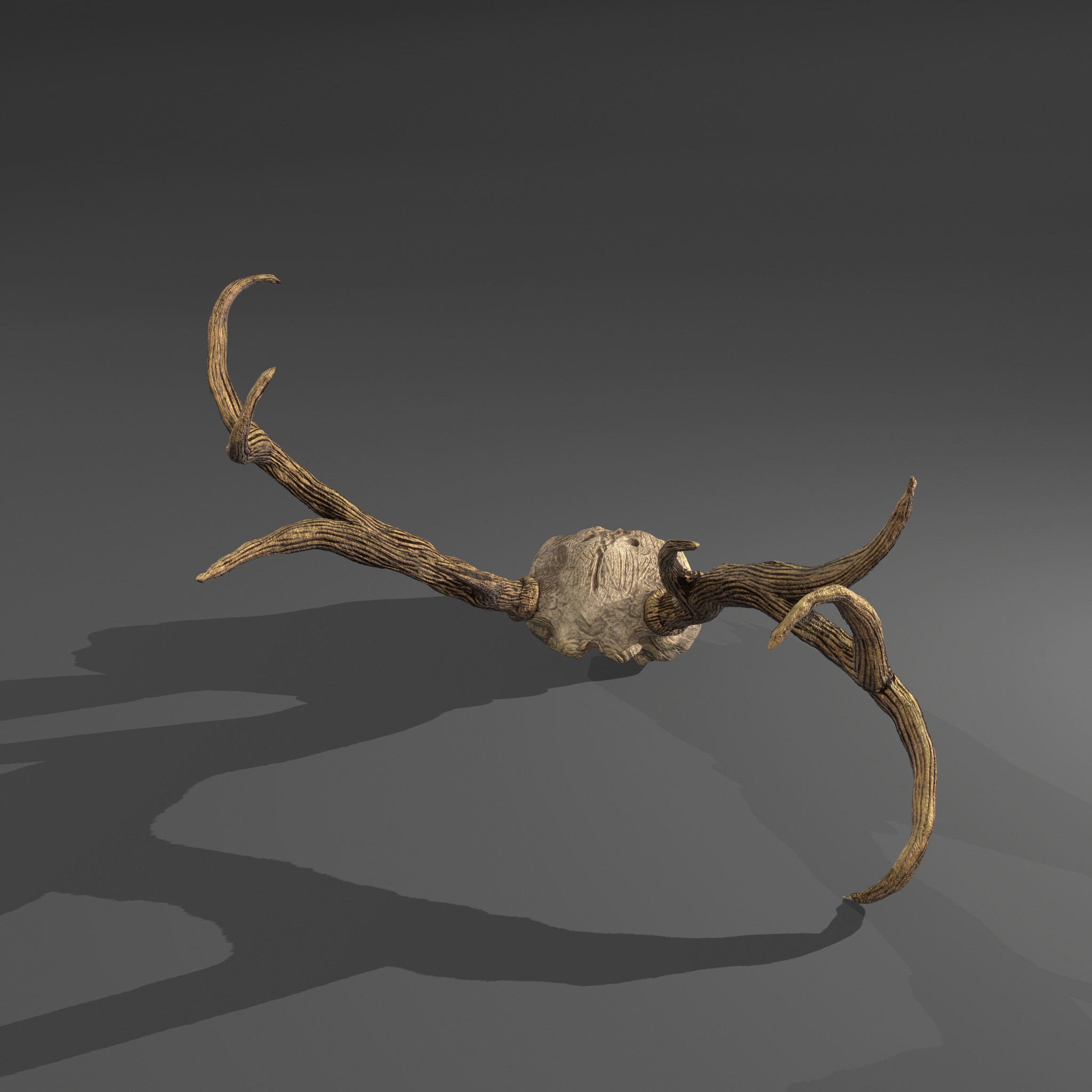 Stag Skull - 3D Model by Get Dead Entertainment