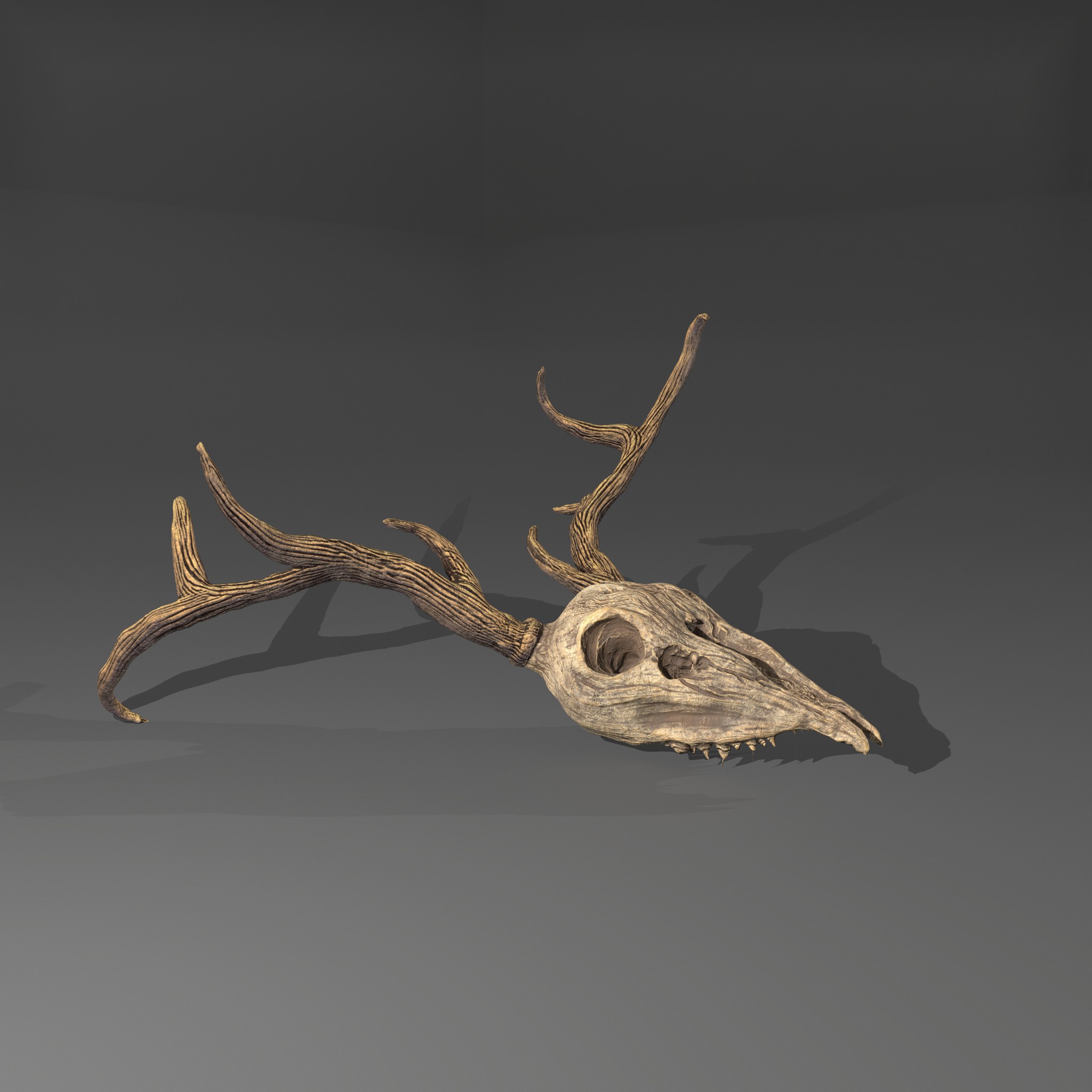 Stag Skull - 3D Model by Get Dead Entertainment