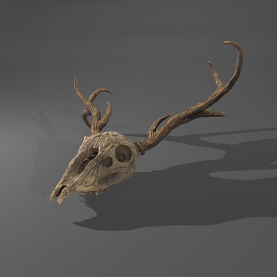 Stag Skull - 3D Model by Get Dead Entertainment