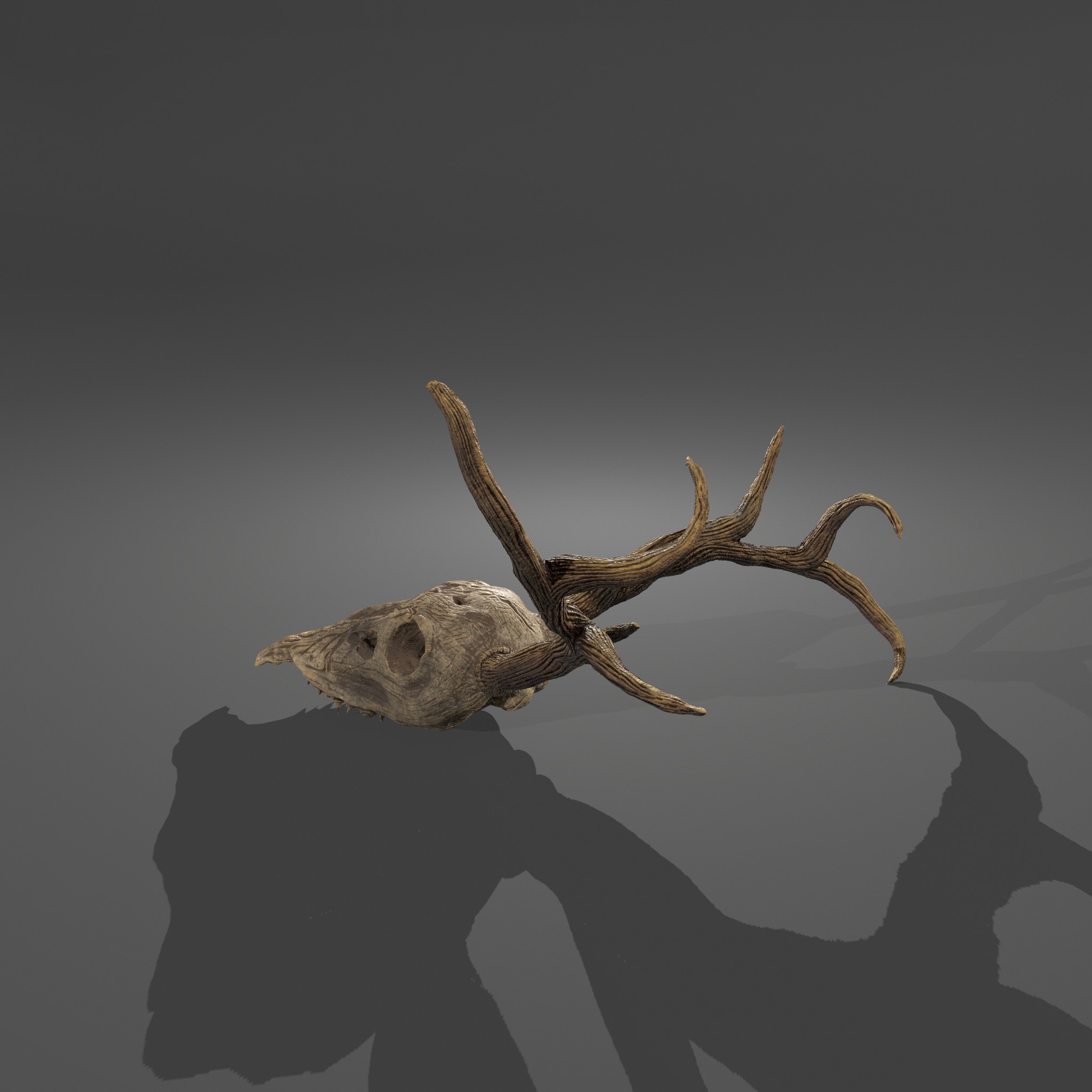Stag Skull - 3D Model by Get Dead Entertainment