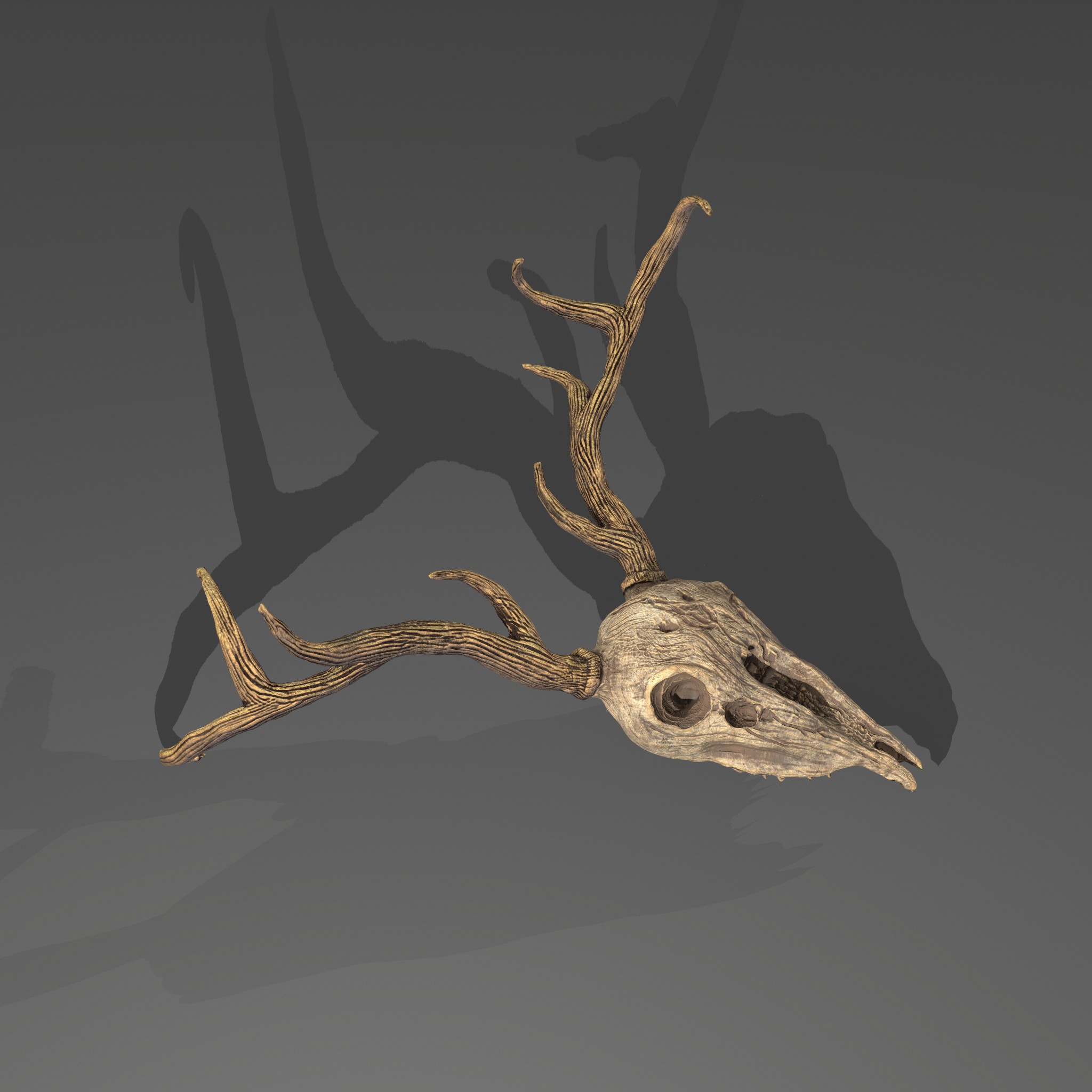 Stag Skull - 3D Model by Get Dead Entertainment