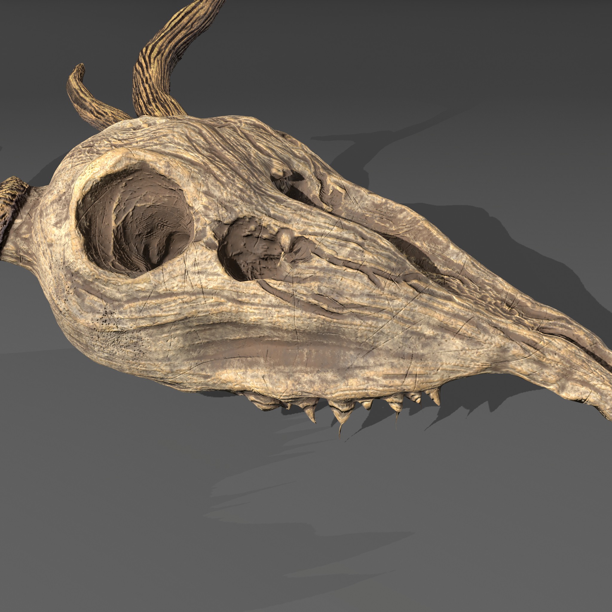 Stag Skull - 3D Model by Get Dead Entertainment