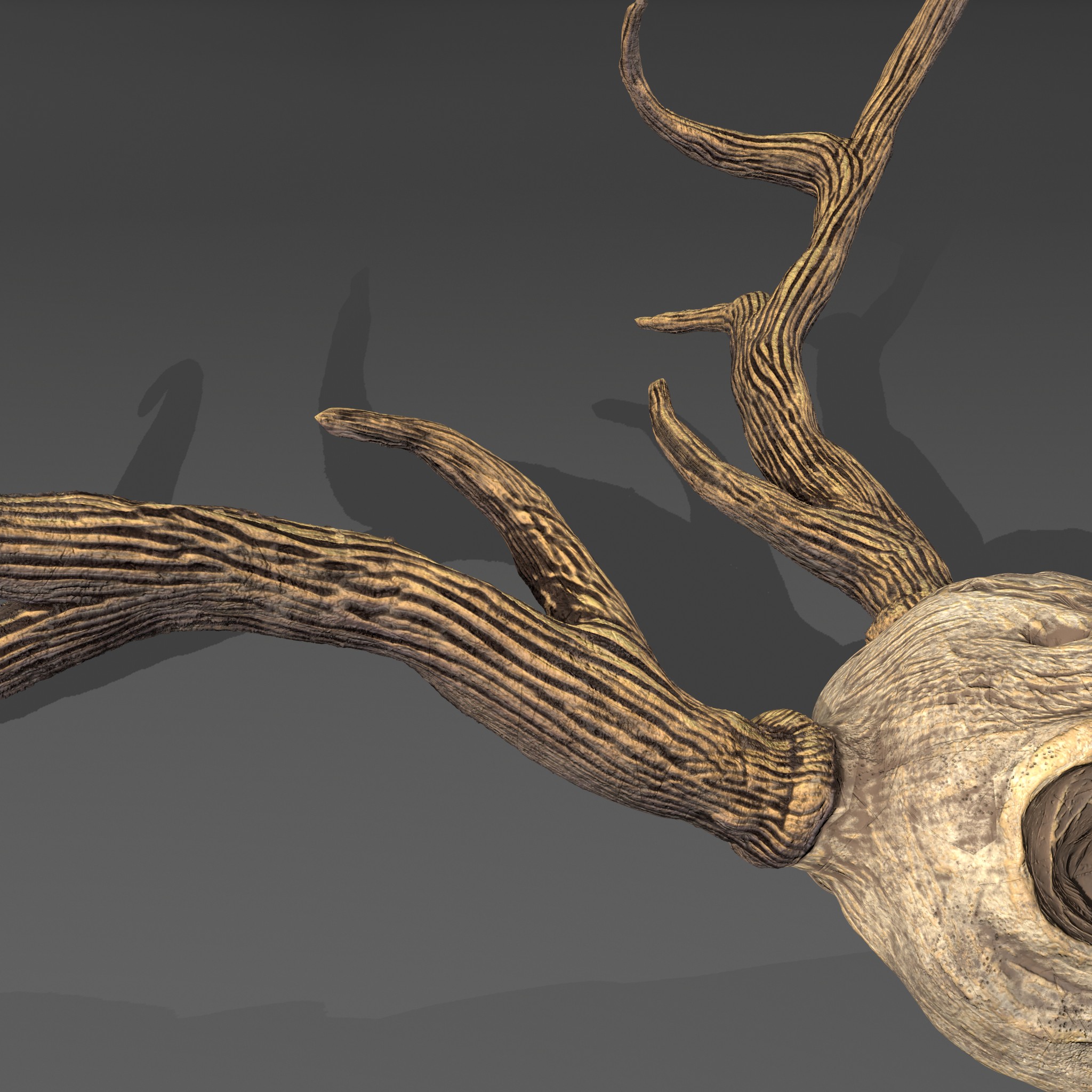 Stag Skull - 3D Model by Get Dead Entertainment