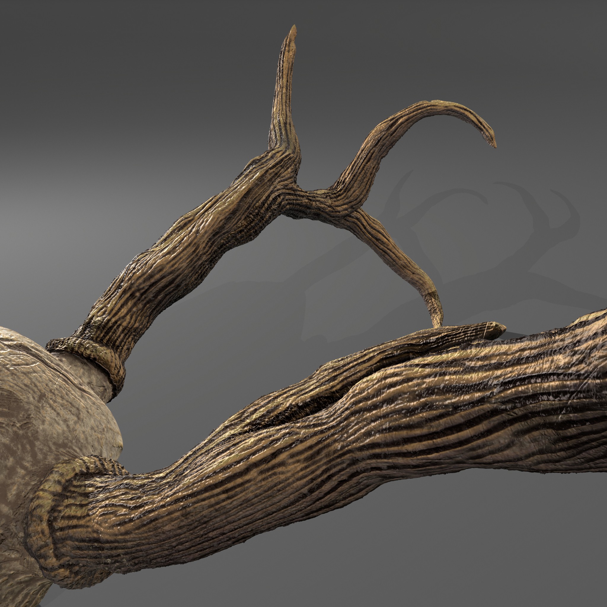 Stag Skull - 3D Model by Get Dead Entertainment