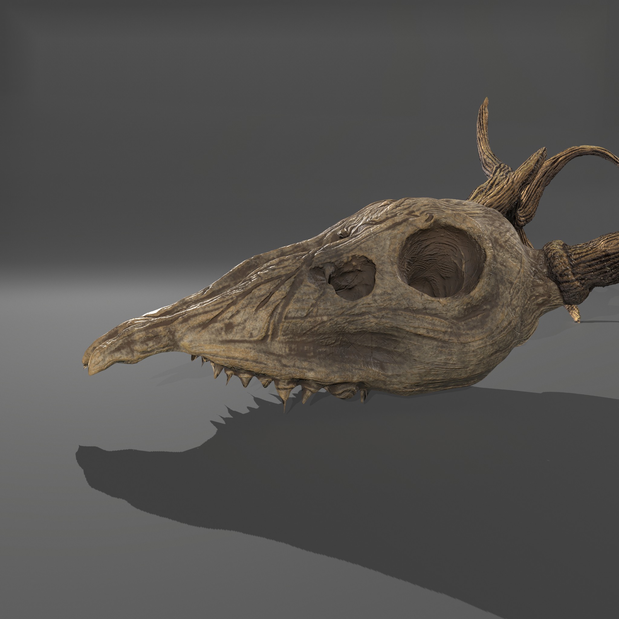 Stag Skull - 3D Model by Get Dead Entertainment