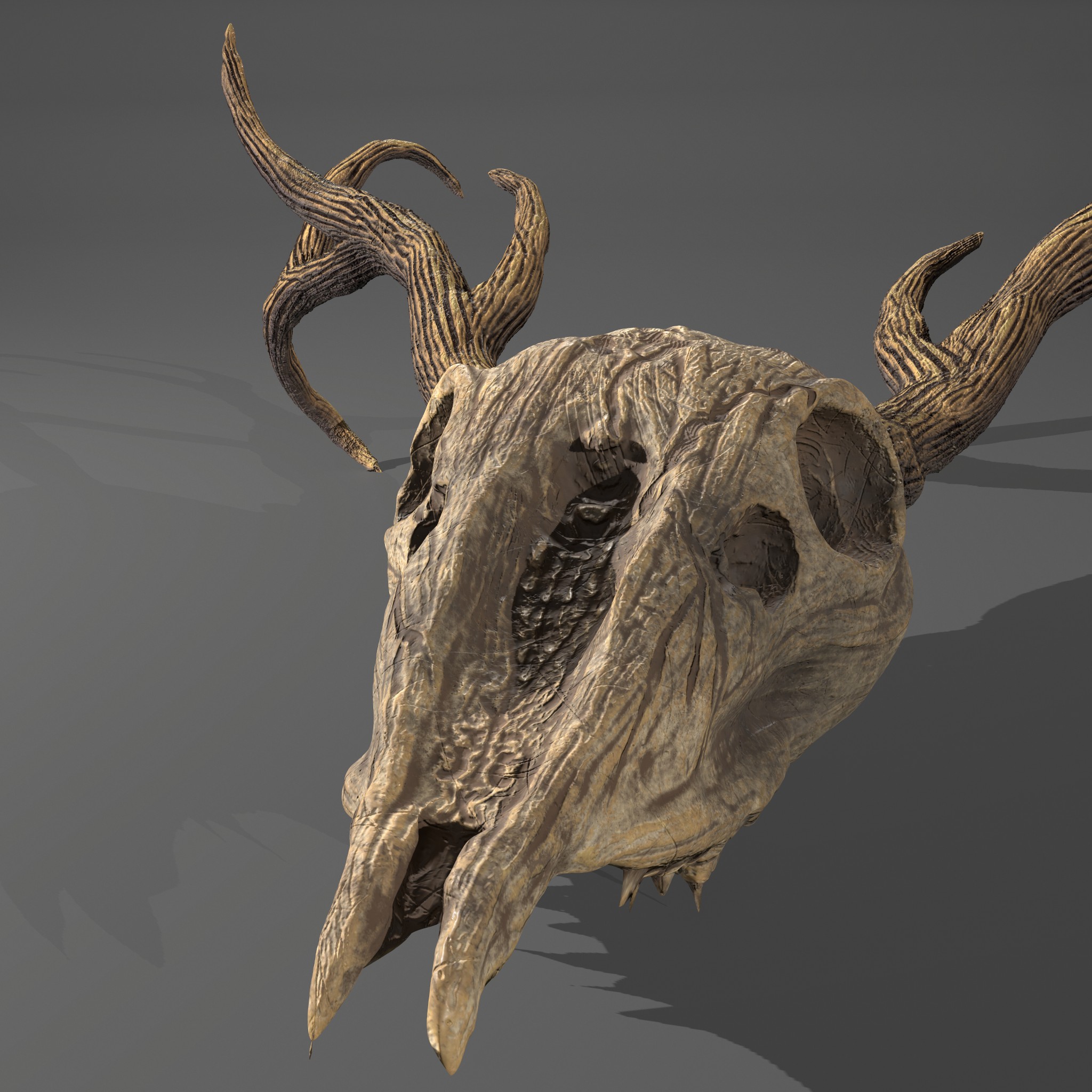 Stag Skull - 3D Model by Get Dead Entertainment