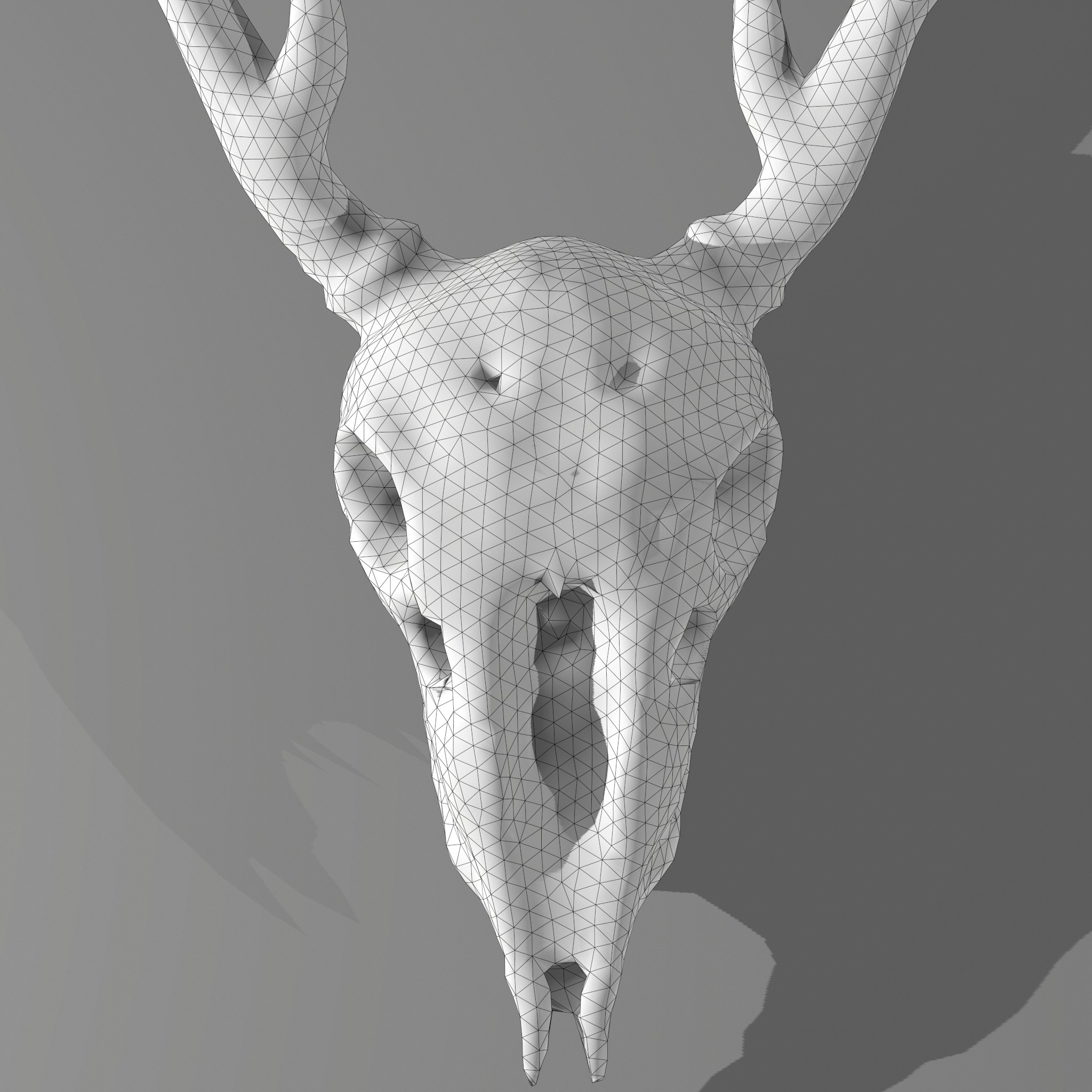 Stag Skull - 3D Model by Get Dead Entertainment