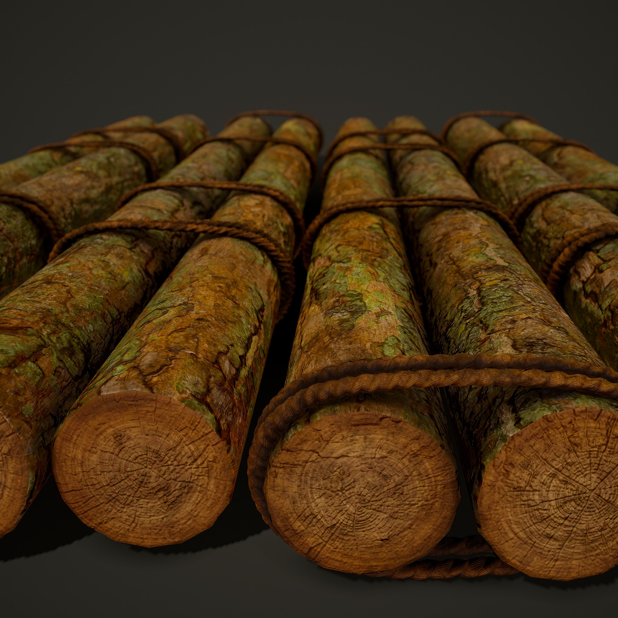 Tied Logs With Rope - 3D Model by Get Dead Entertainment
