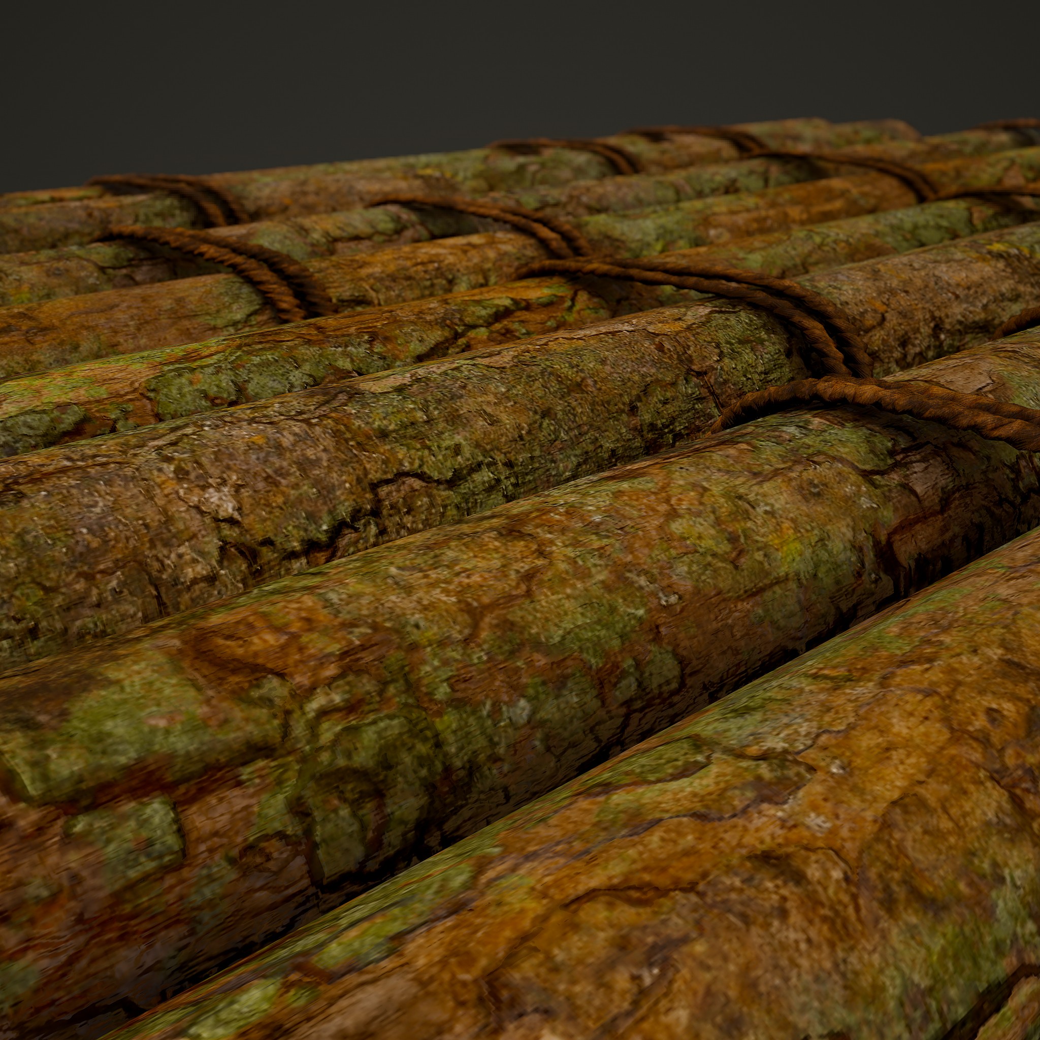 Tied Logs With Rope - 3D Model by Get Dead Entertainment