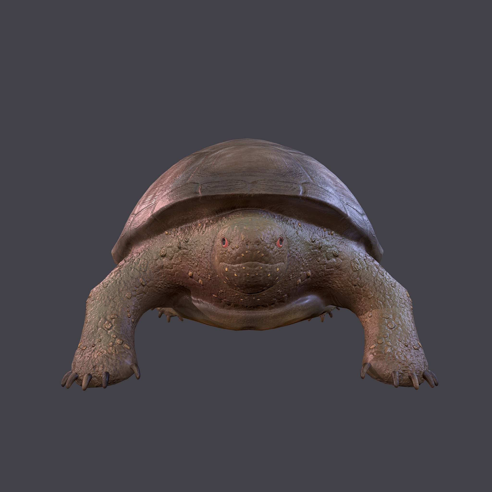 Turtle Brown Reptile - Free 3D Model by Get Dead Entertainment